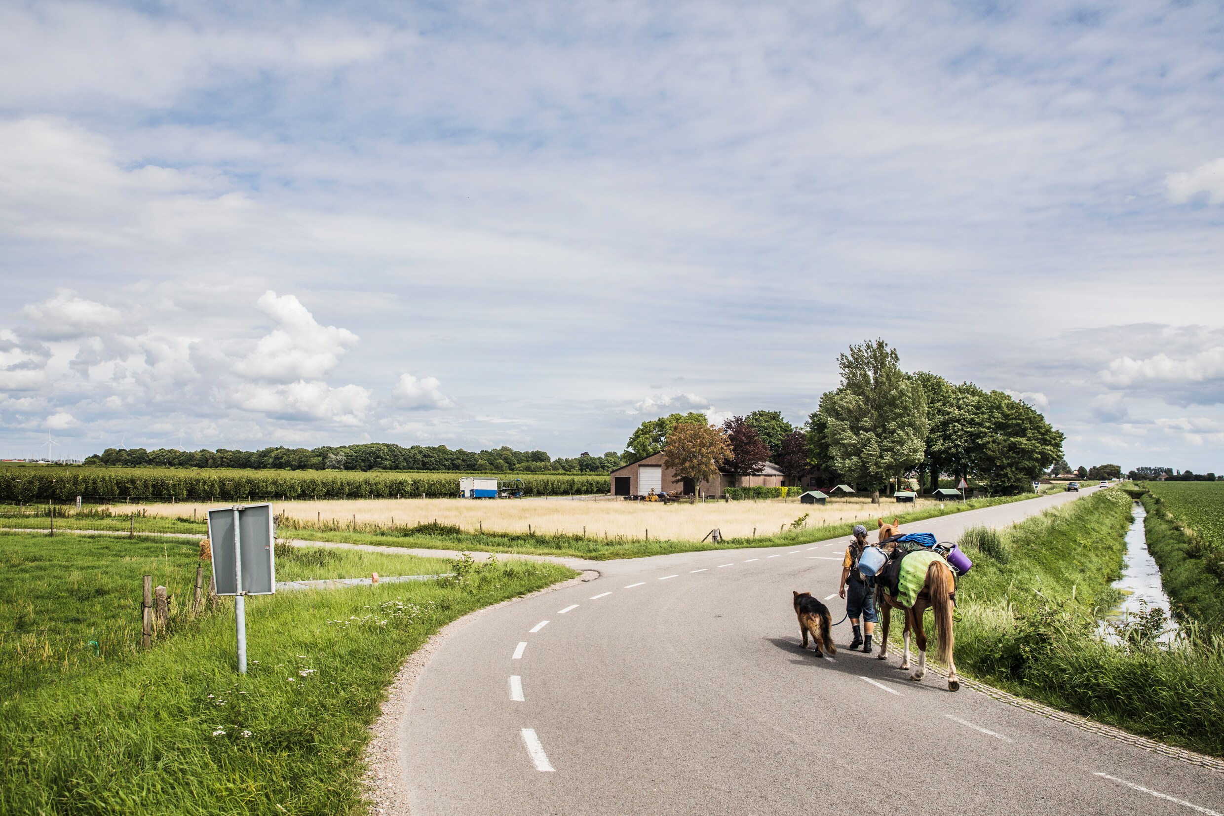 Tamarinde trekt door Nederland en België met een paard, hond en vogel ...
