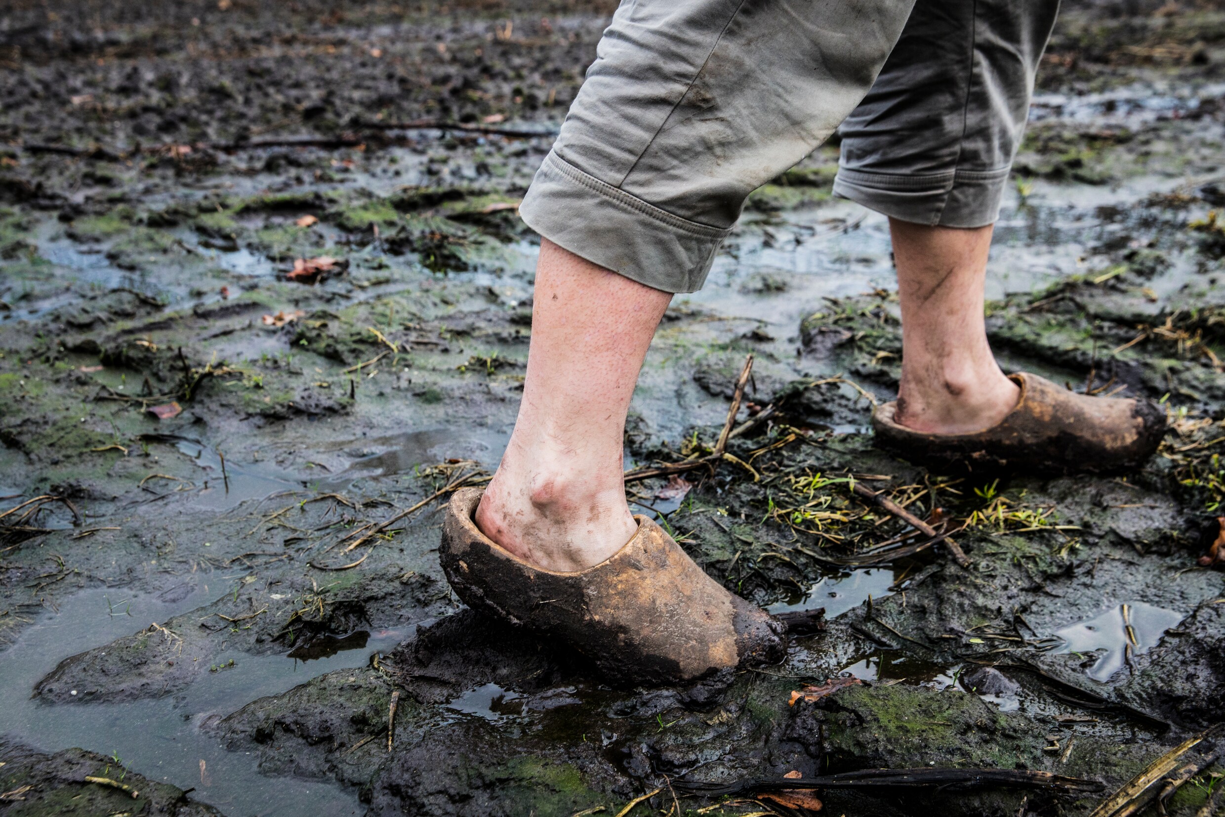 Tamarinde trekt door Nederland en België met een paard, hond en vogel ...