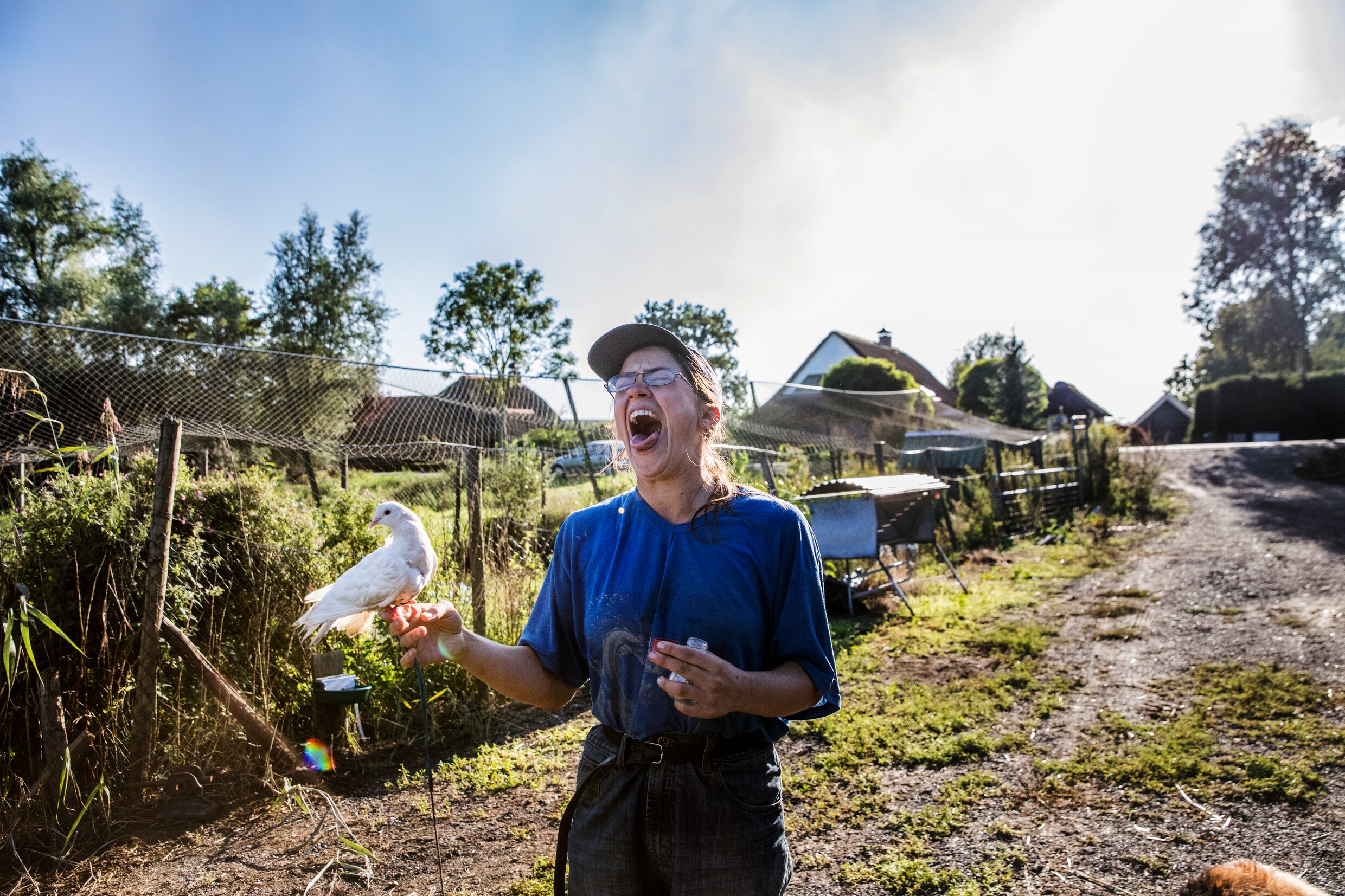 Tamarinde trekt door Nederland en België met een paard, hond en vogel ...