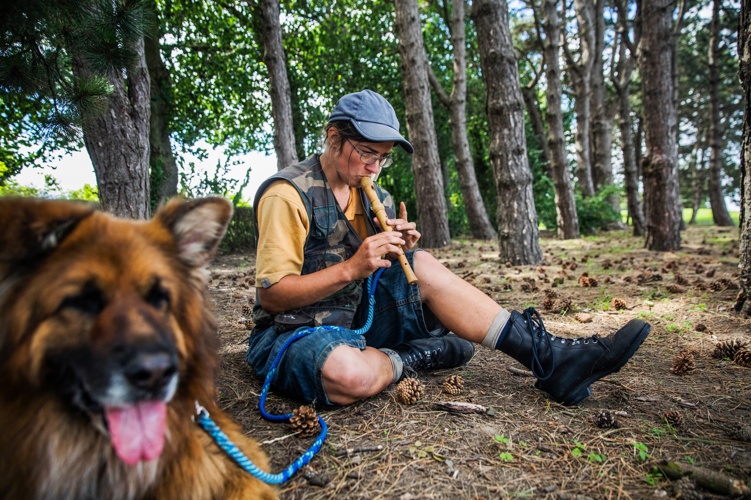 Tamarinde trekt door Nederland en België met een paard, hond en vogel ...