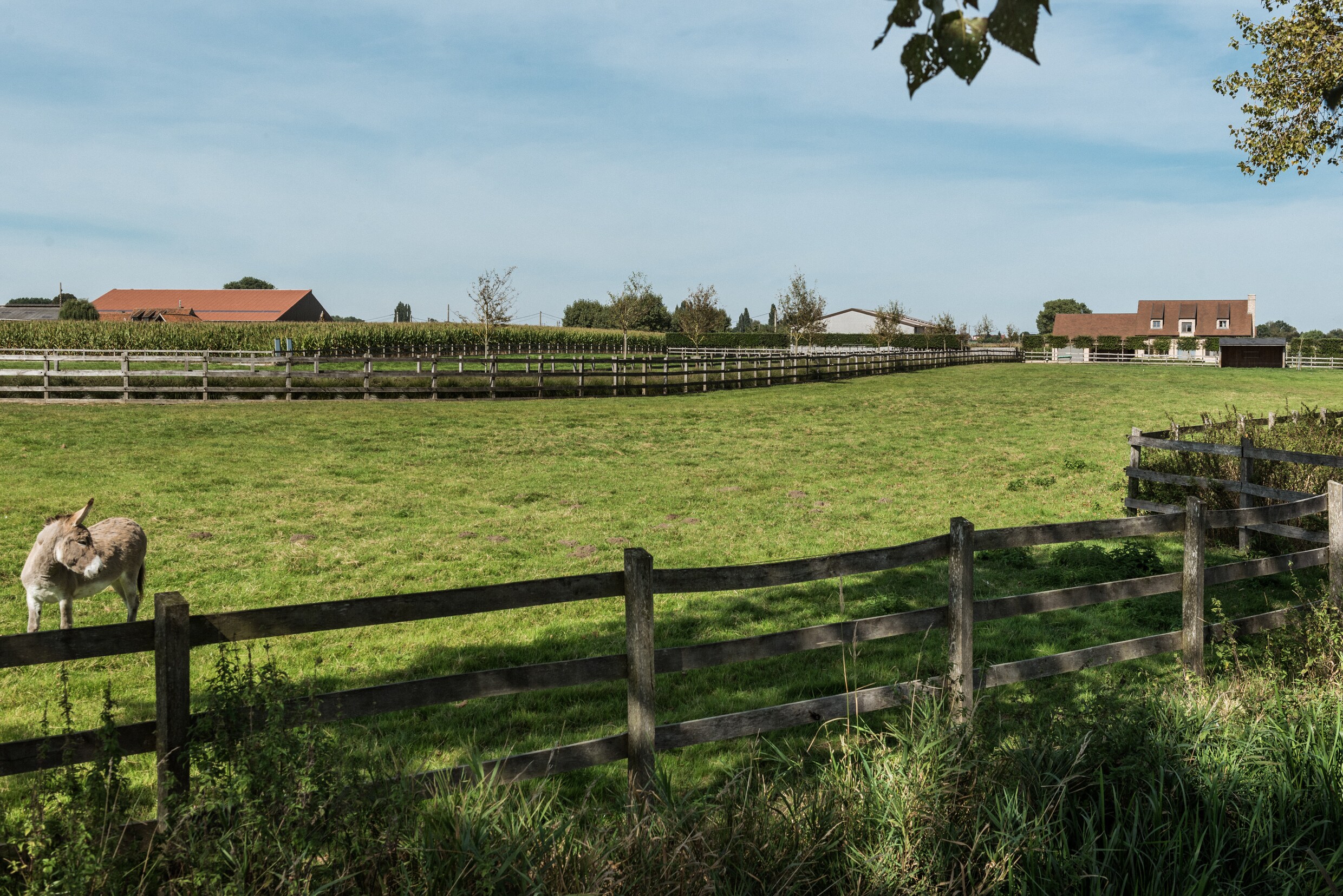 50 jaar nadat het West-Vlaamse Aarsele op de voorpagina van The New ...