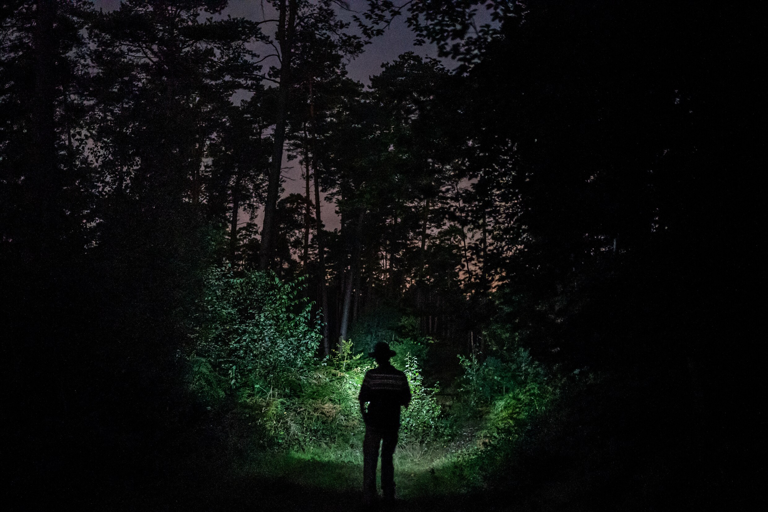 Zeven jaar leven met de dieren leerde Geoffroy Delorme mens te zijn ...