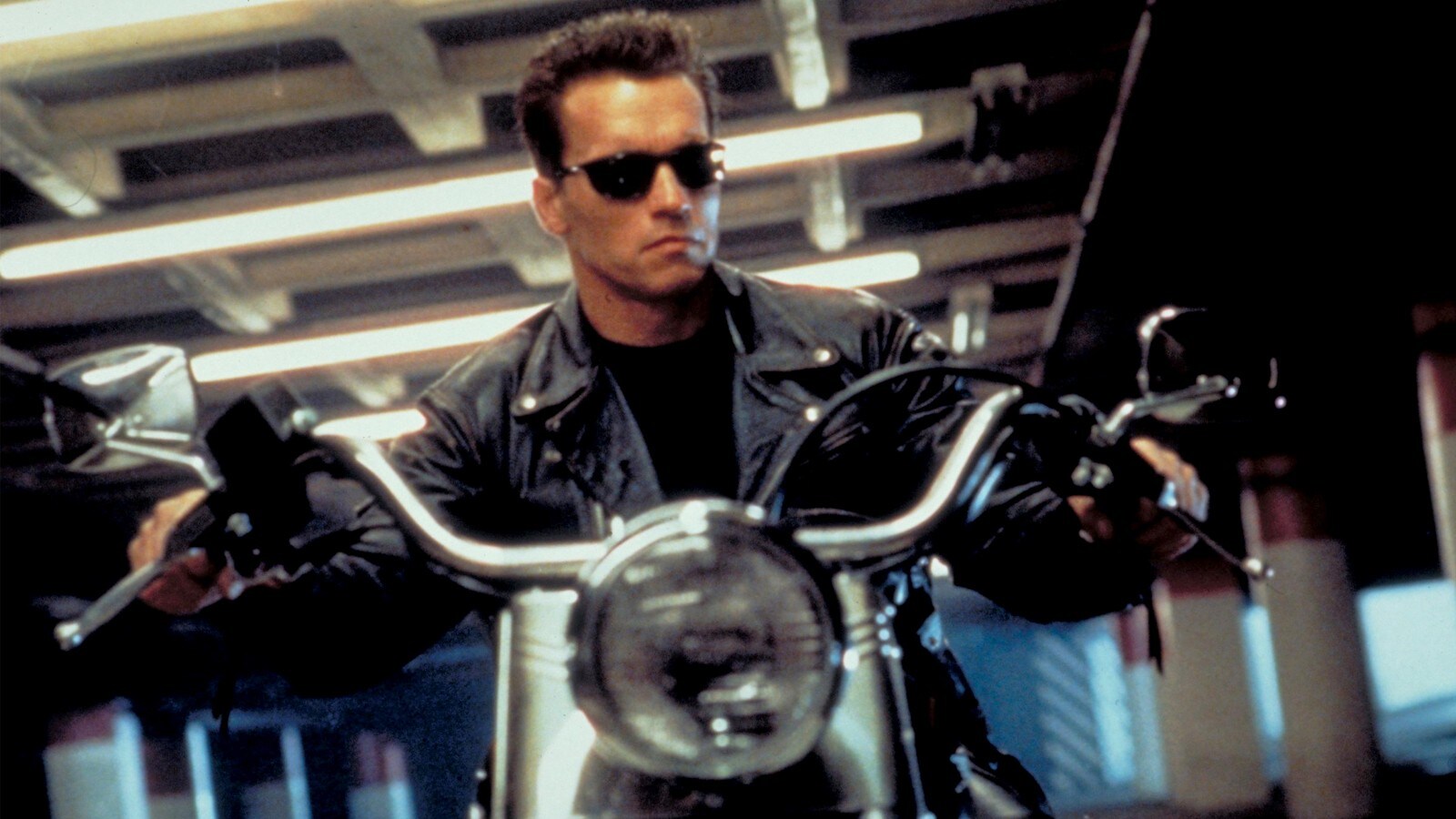 ‘The Terminator’ met Arnold Schwarzenegger of ‘I Can See Your Voice ...