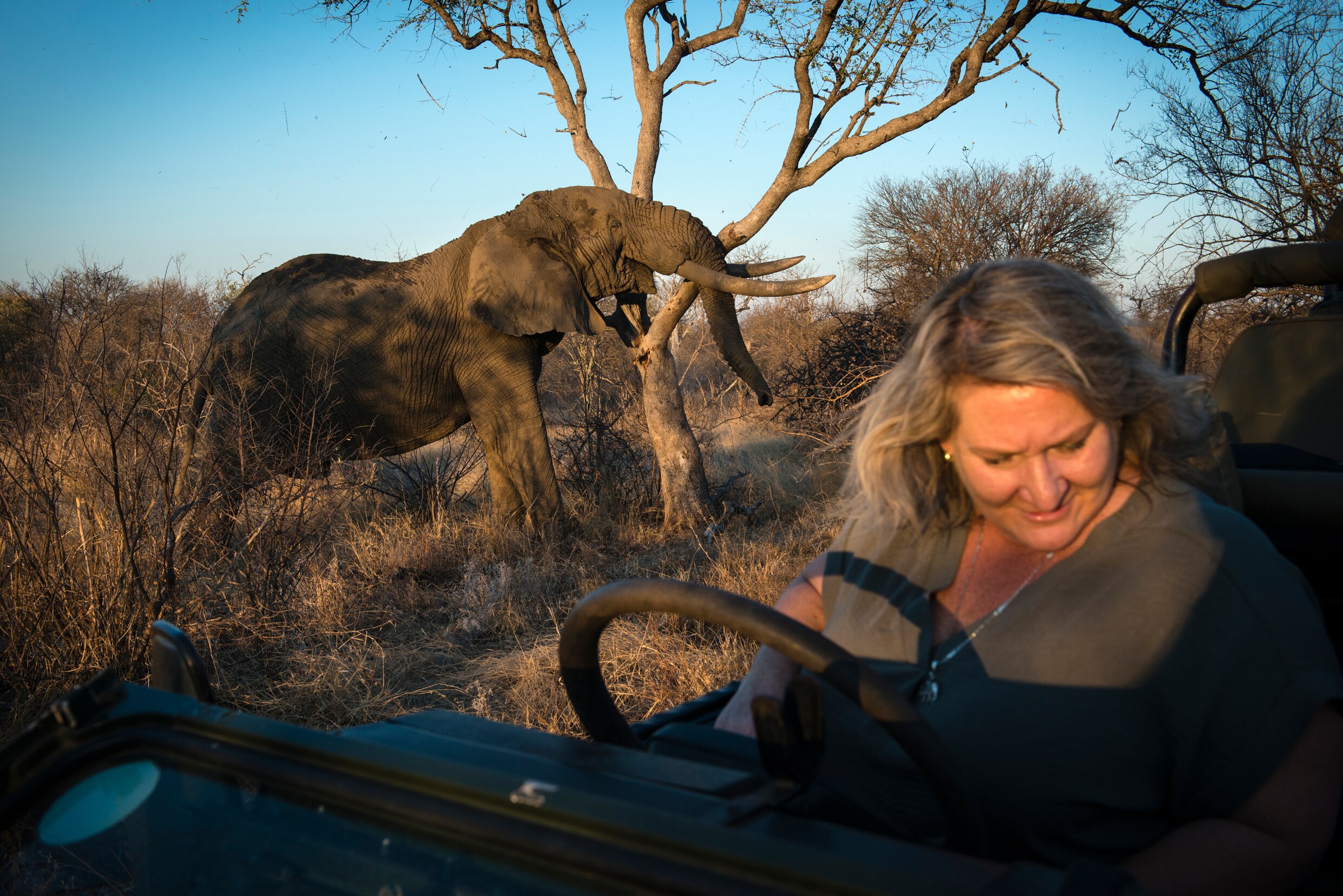 Rangers en stropers voeren in Zuid-Afrika een venijnige strijd om de ...