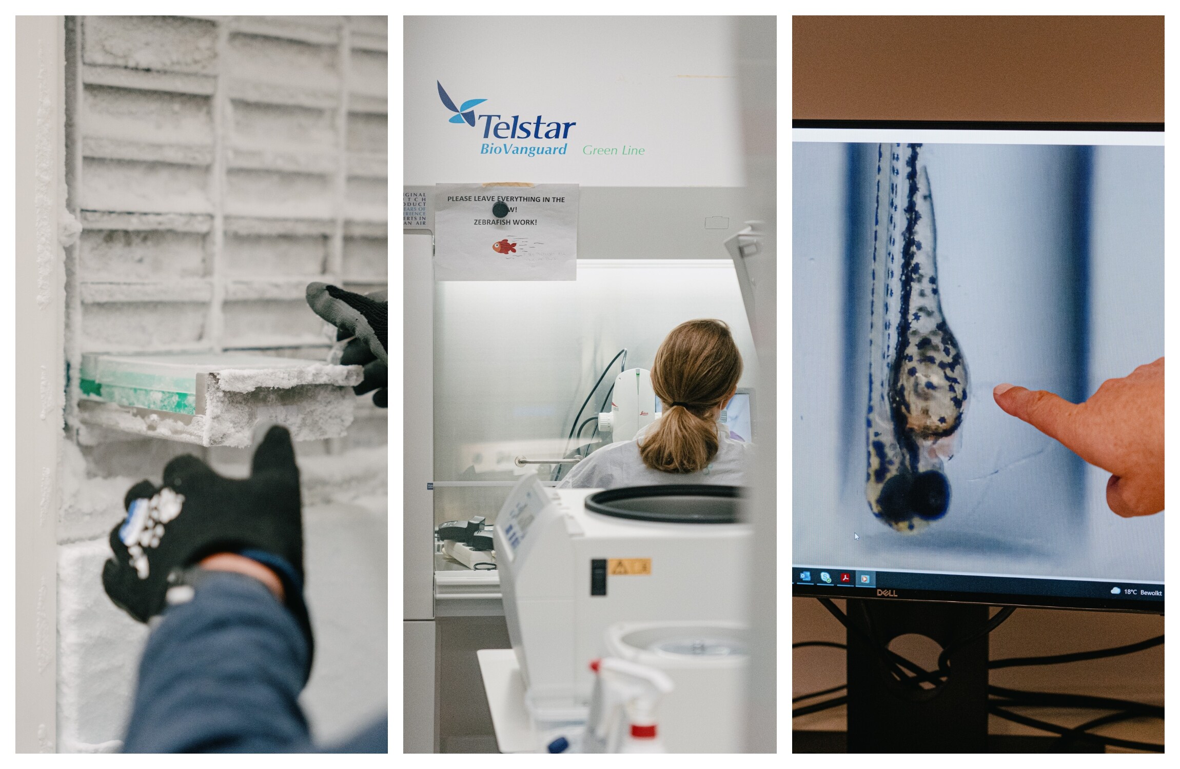 In Leuven staat een prestigieuze virusbank: ‘Maar nergens in het land ben je veiliger tegen ...