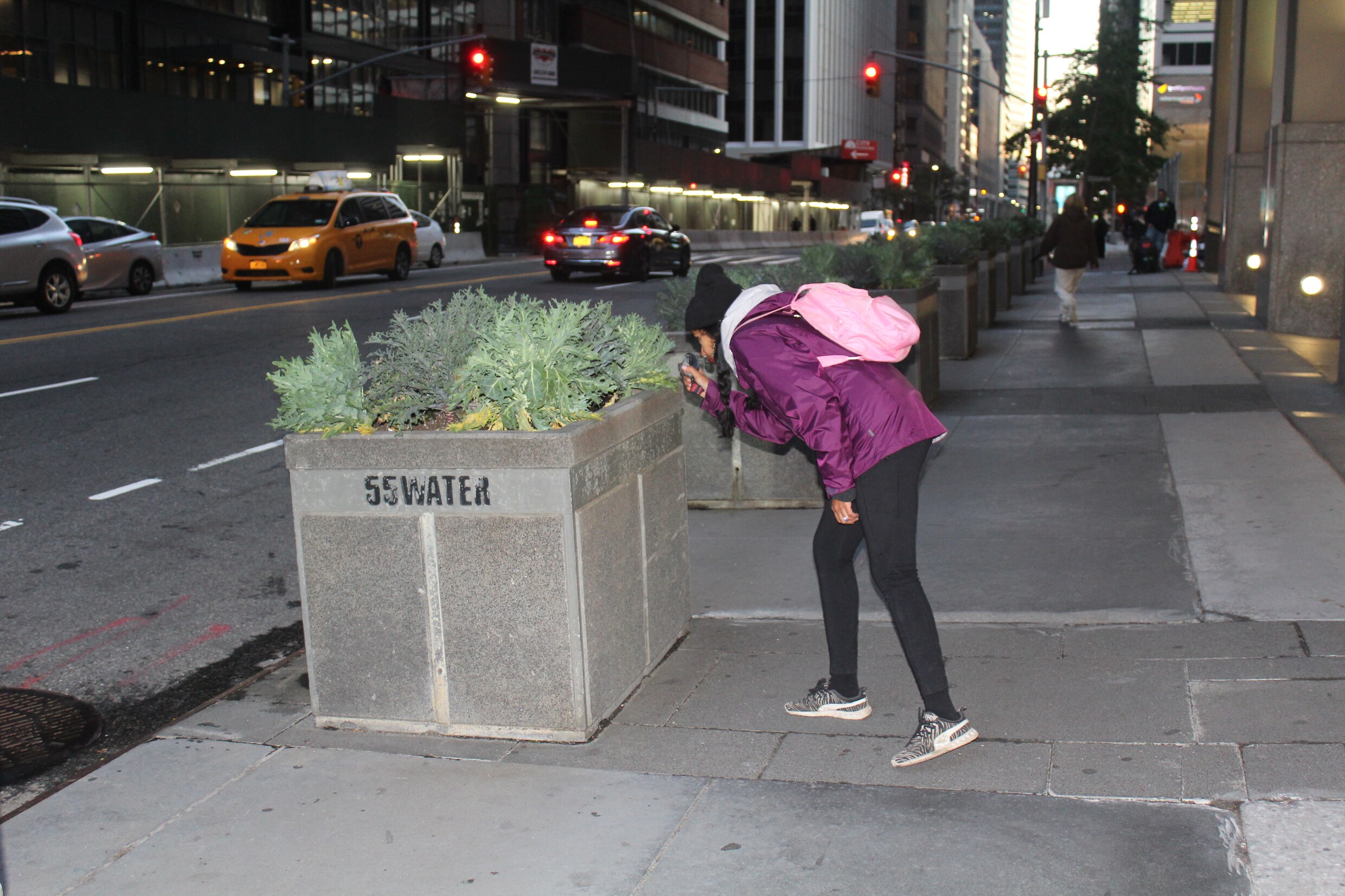 Glazen wolkenkrabbers in New York zijn moordend voor trekvogels: ‘En ...