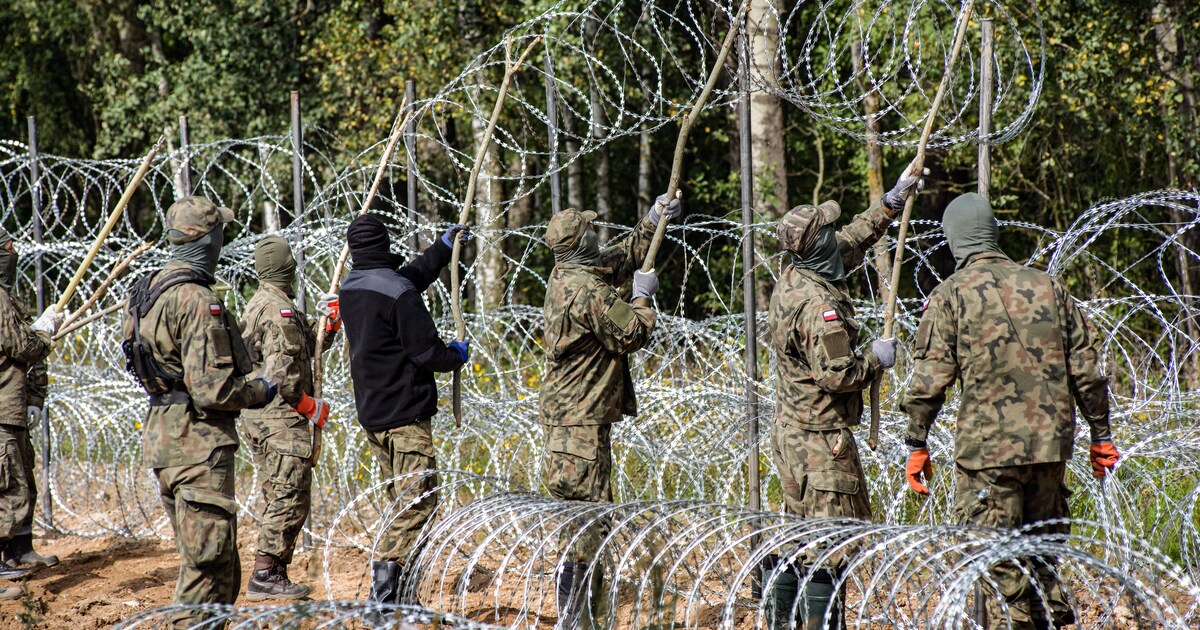 Scheermesjes aan Poolse grenshekken houden geen mensen maar wel lynxen ...