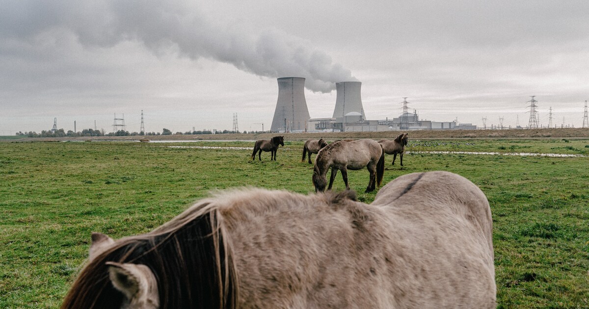 ‘Gevolgen van een kernramp worden met factor 2 miljoen onderschat ...