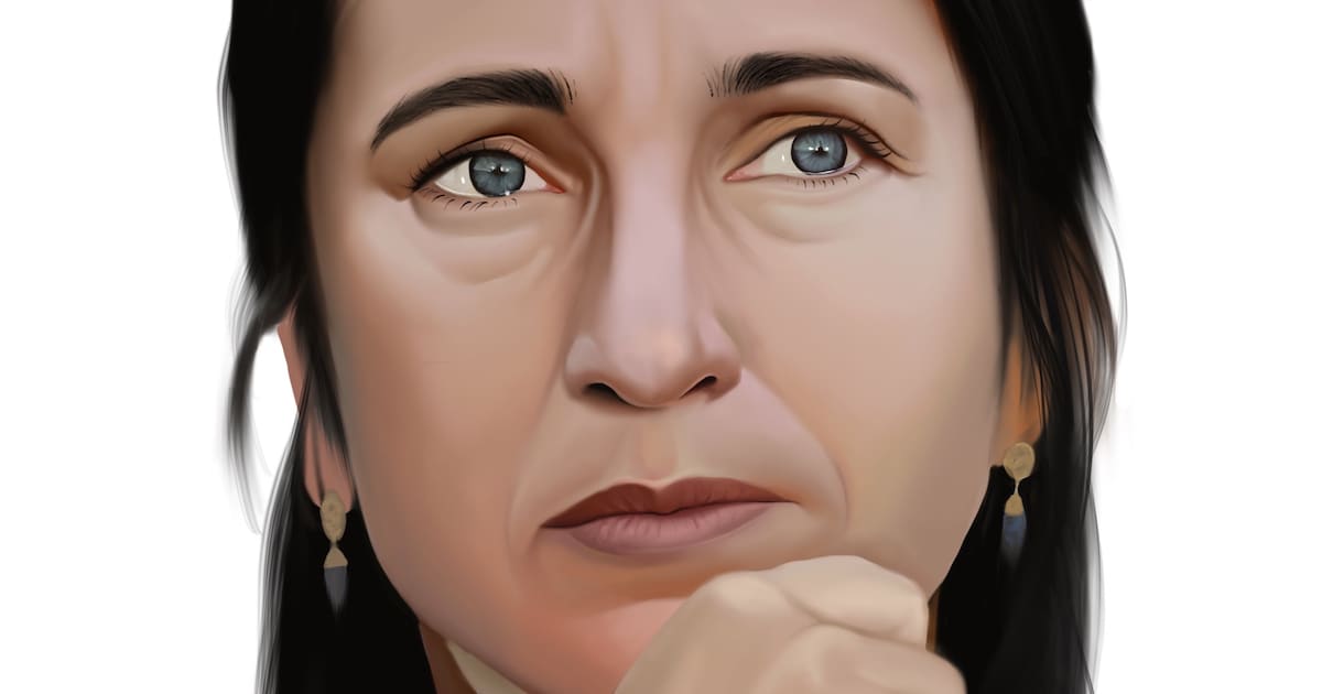 Beste Zuhal Demir, uw voorzitter werd weggeblazen, u bleef kalm en ...