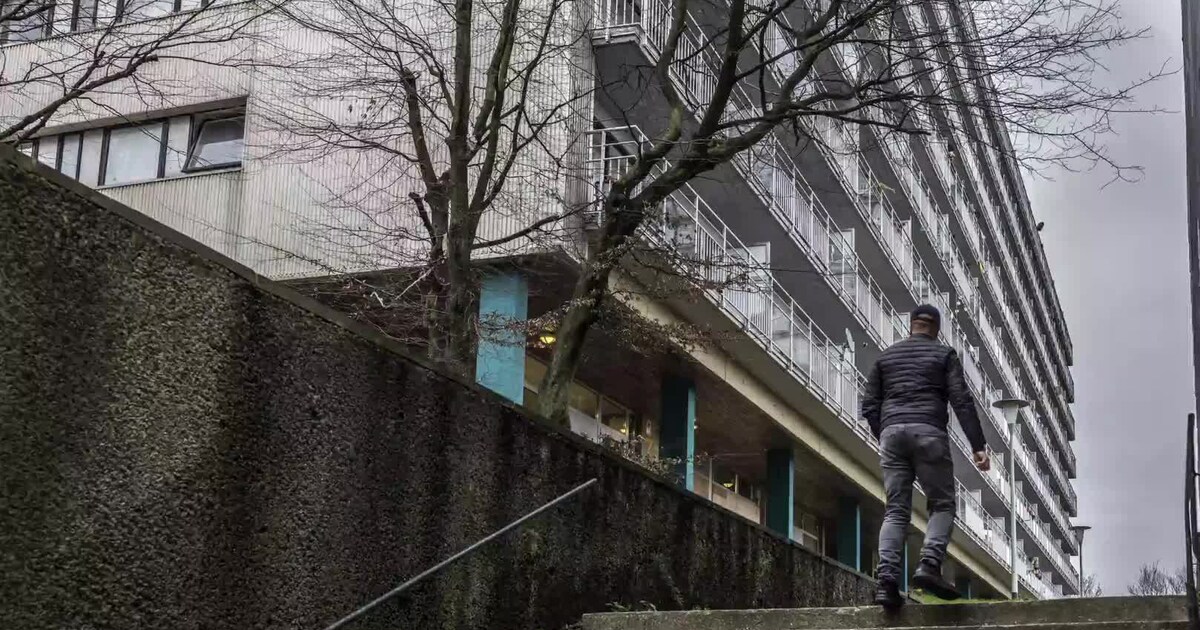 Waanzinnige toestanden in Brusselse wijk Peterbos: ‘Gemaskerde ...