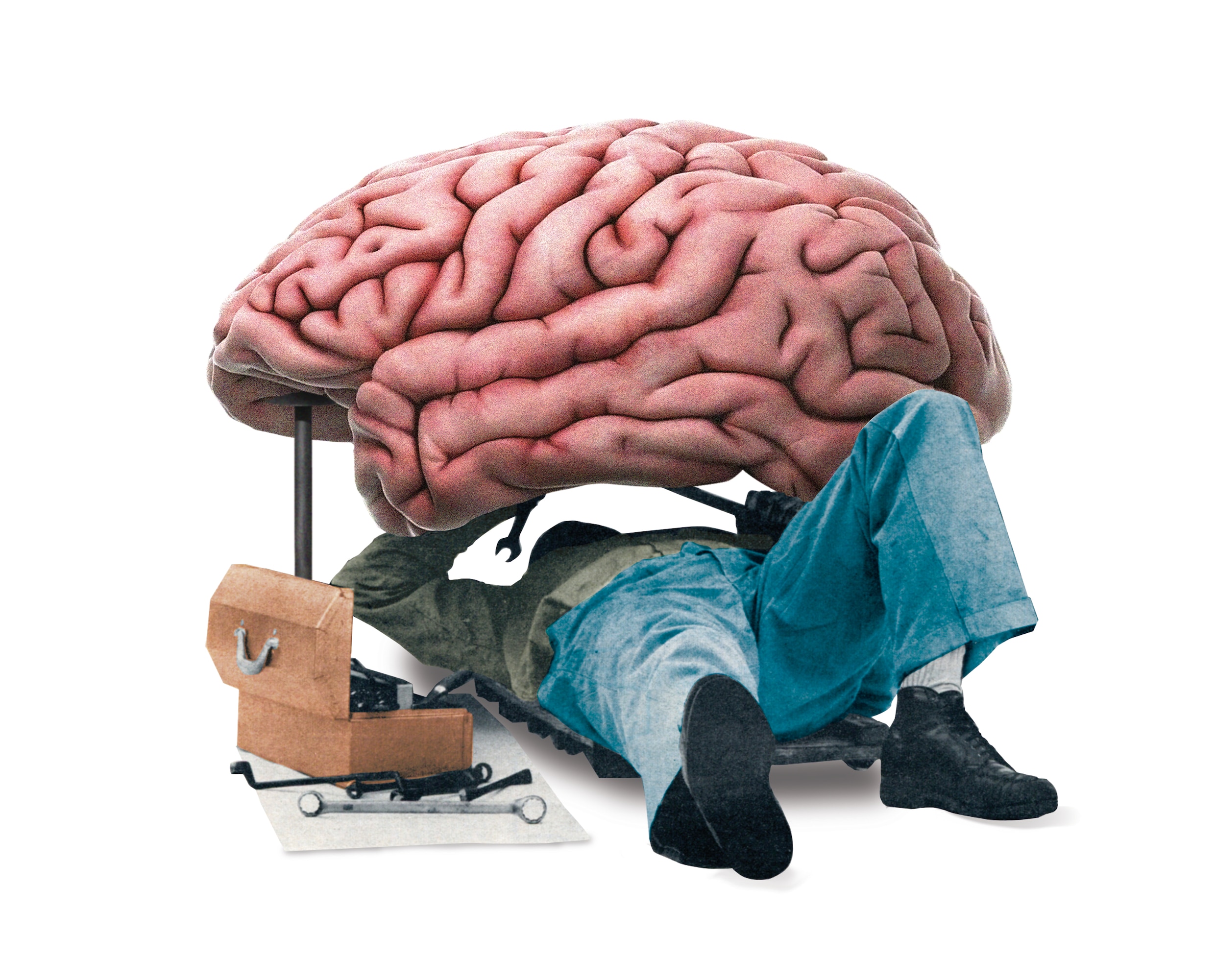 Psychopathie-expert Kasia Uzieblo: ‘Statistisch gezien zou je banger ...