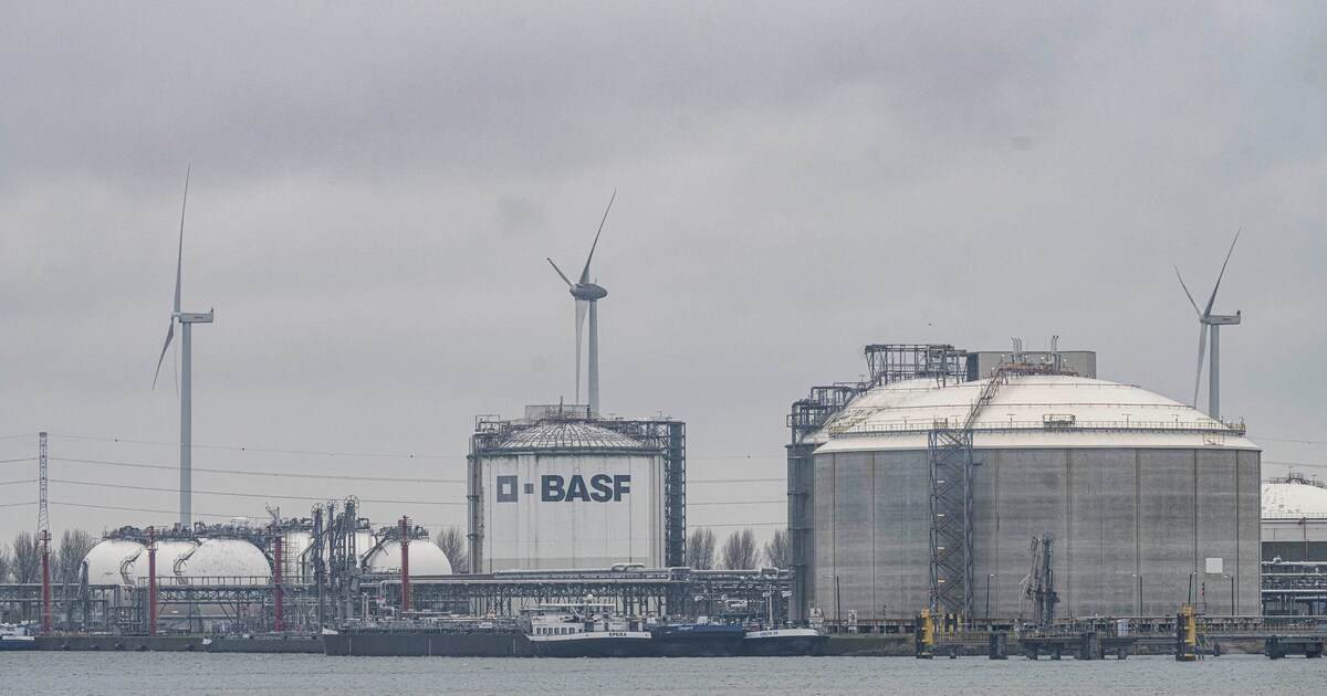 Bewakers BASF stelen miljoenen aan edelmetalen | De Morgen