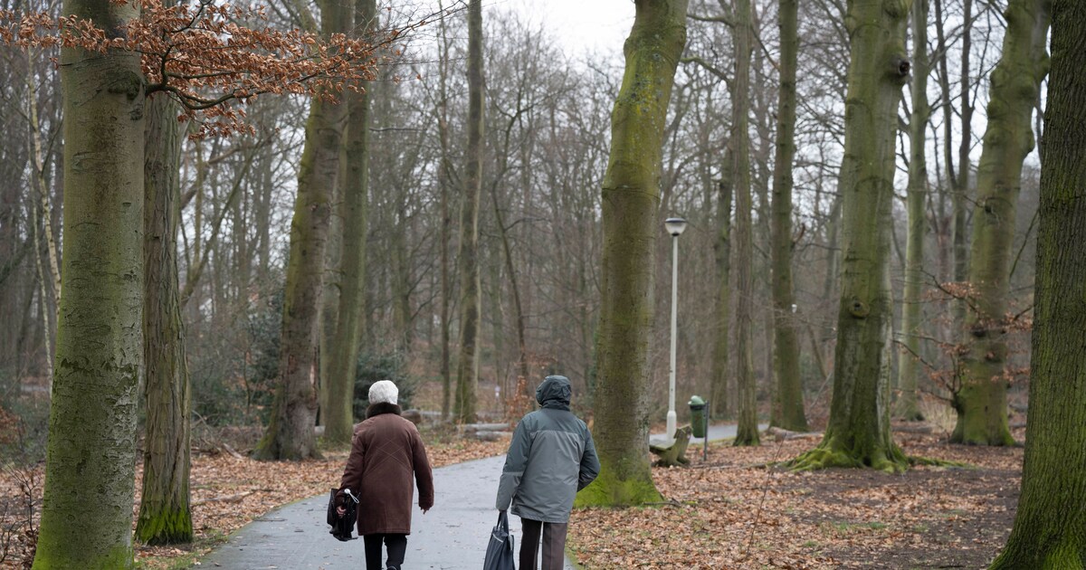 KMI waarschuwt met code geel voor wind door aankomende storm Pia | De ...
