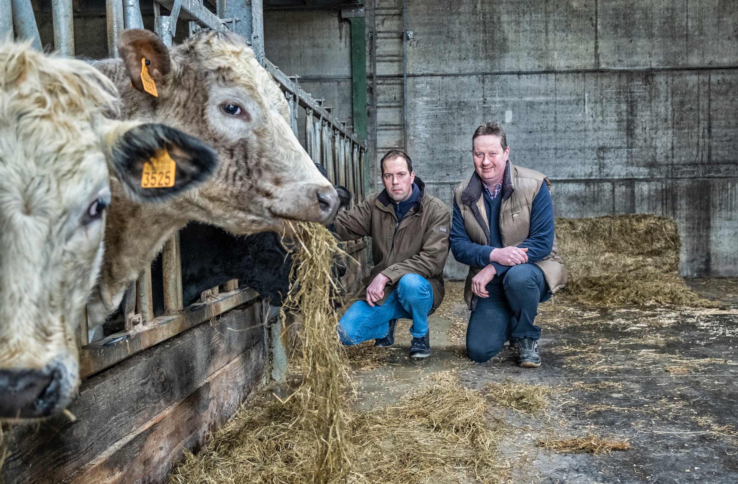 ‘Wij krijgen de schuld van alles’: landbouwers zitten mentaal én ...