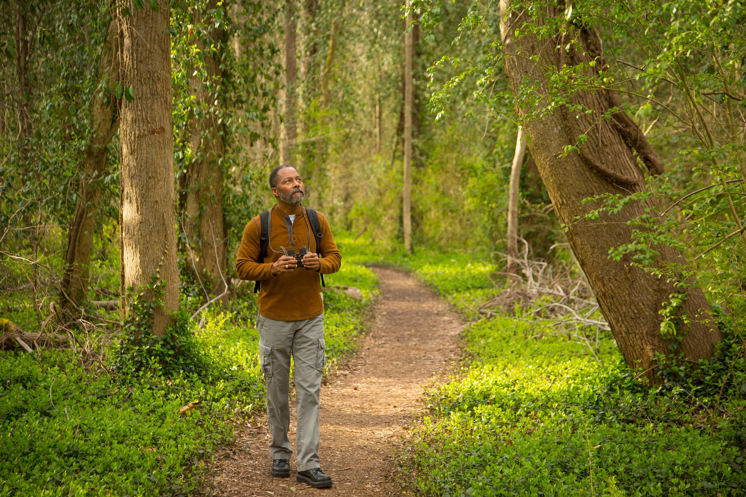 Een wandeling in de natuur doet ons goed, maar hoe komt dat? | De Morgen