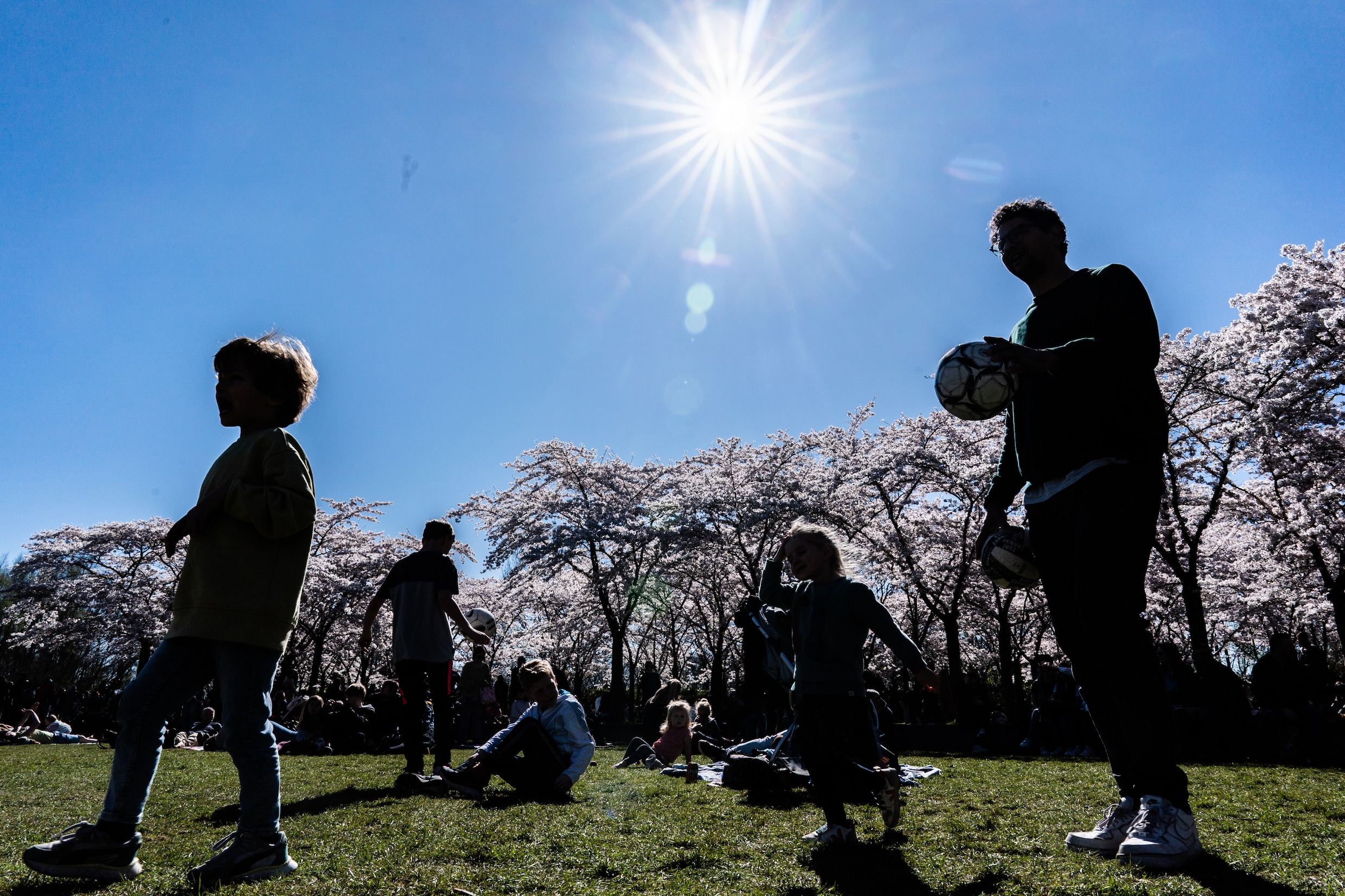 Zonnig weekend in het verschiet: zaterdag tot 23 graden | De Morgen