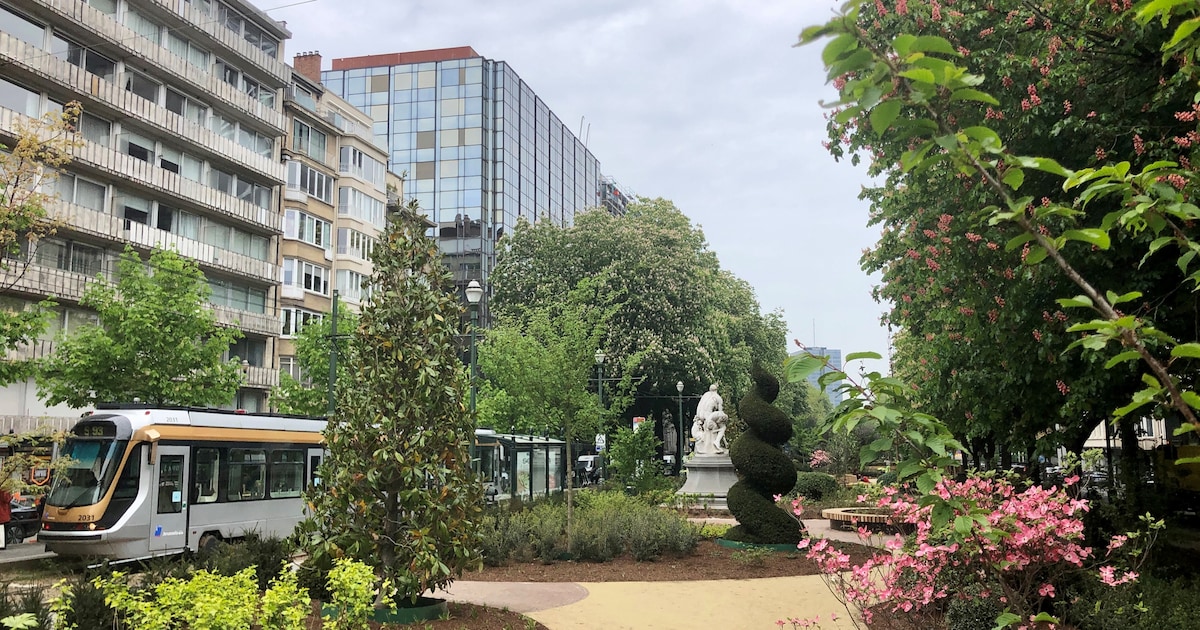 Good Move zorgt voor ernstige spanningen en polarisatie, en dat hoeft ...