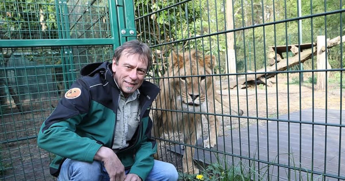 Tot 180 dieren per dag in onderbemande natuurhulpcentra: ‘Als mensen ...