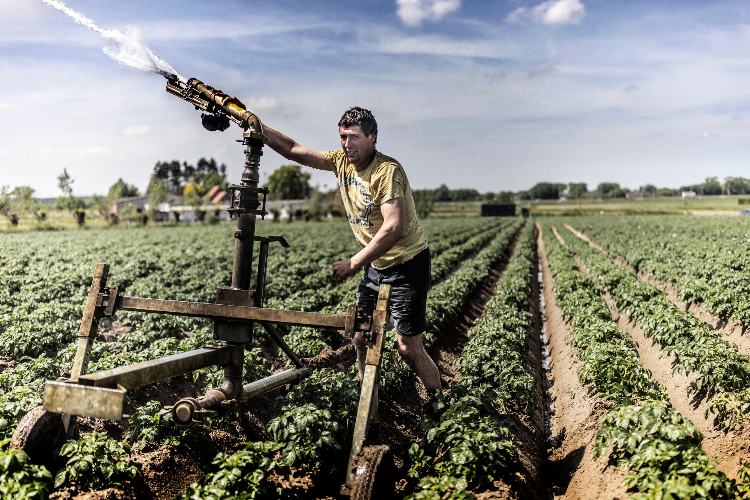 ‘Ge moet niet tot uw 28ste gestudeerd hebben om te zien dat het niet ...