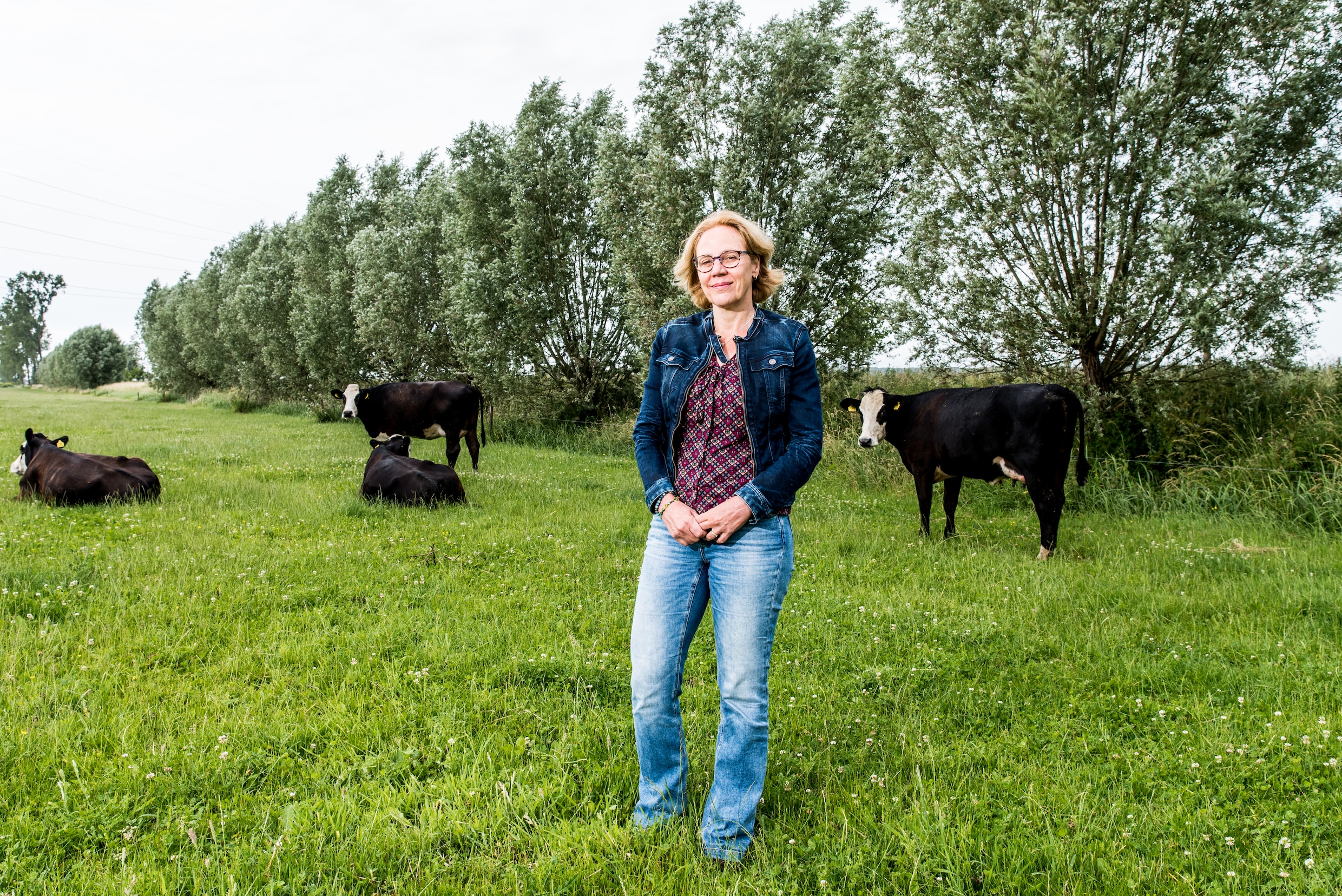 Als je vlees wilt blijven eten, kies je voor frikandellen en kip – of ...