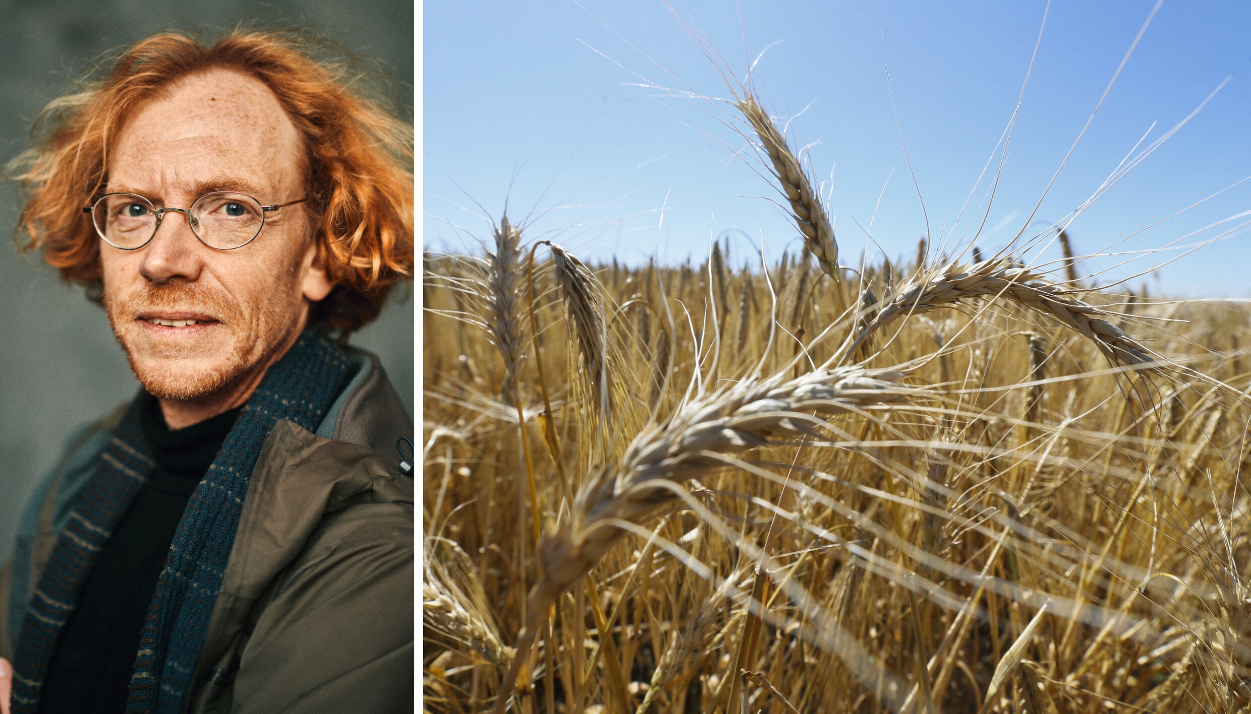 ‘Oekraïne is landbouwland bij uitstek: als zij toetreden tot de EU, zal ...