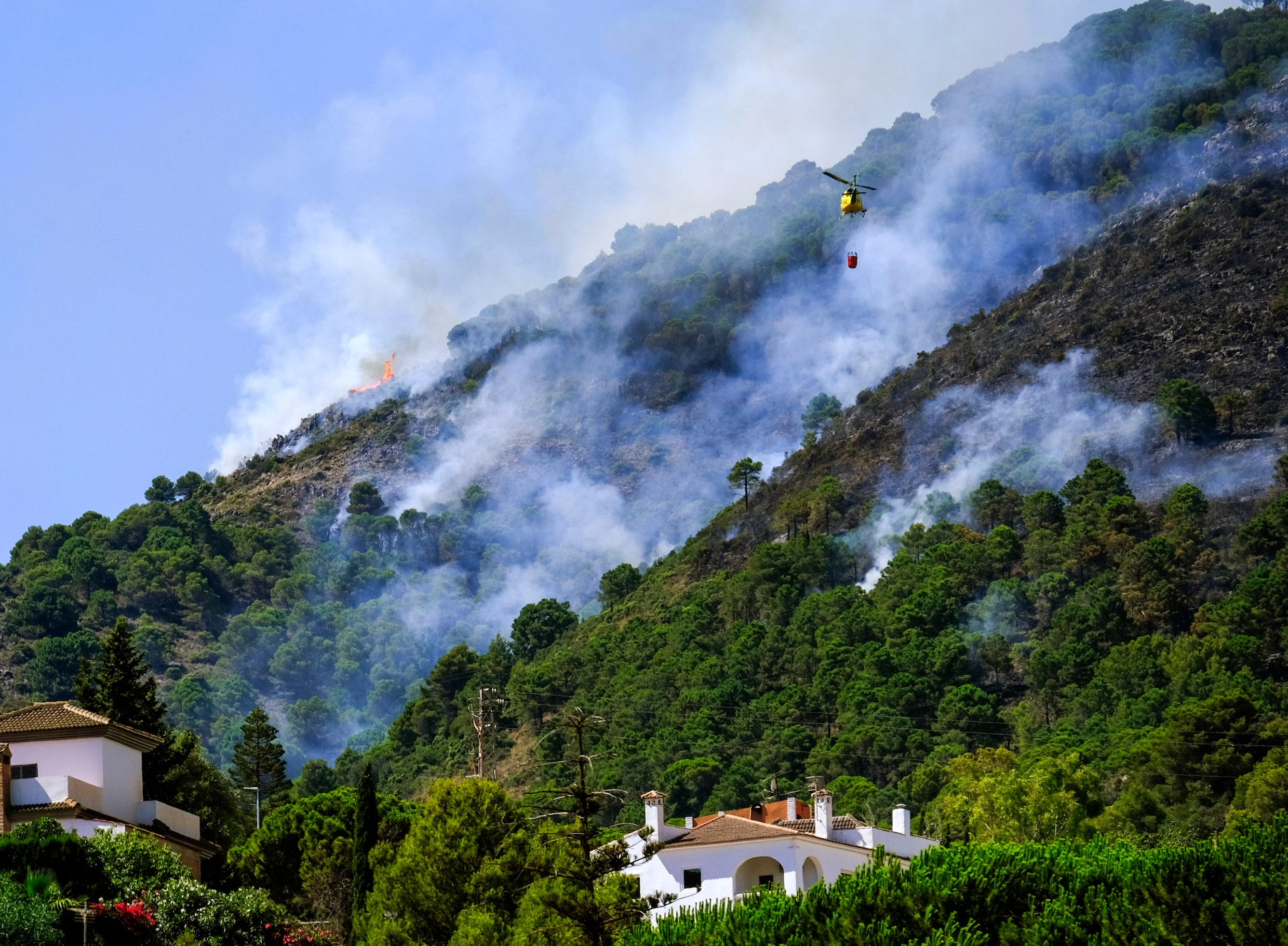 Honderden hittedoden en tienduizenden hectares bos in lichterlaaie ...
