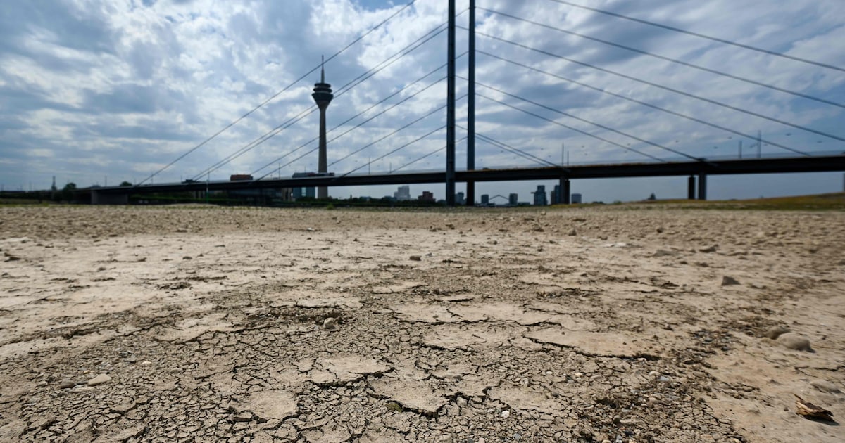 Europa’s nieuwe klimaat: deze zeven grafieken schetsen een somber beeld ...
