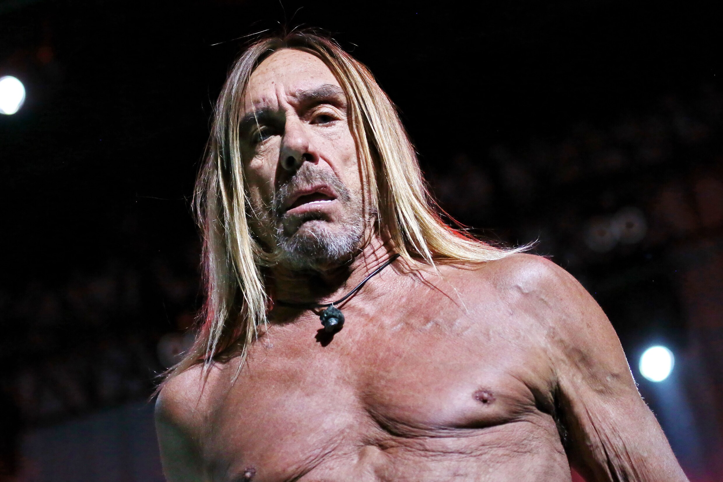 ‘Iggy, het wordt tijd om minder het varken uit te hangen’: 9 verhalen ...