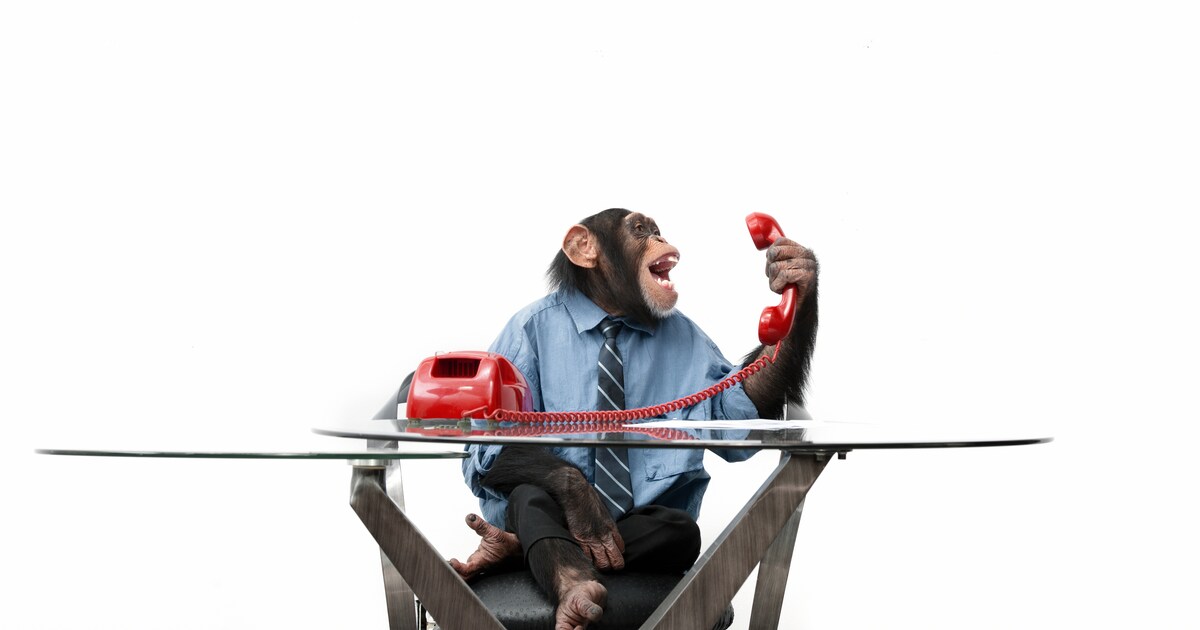 Waarom onze spraak zoveel complexer is dan die van de chimpansee: klein ...