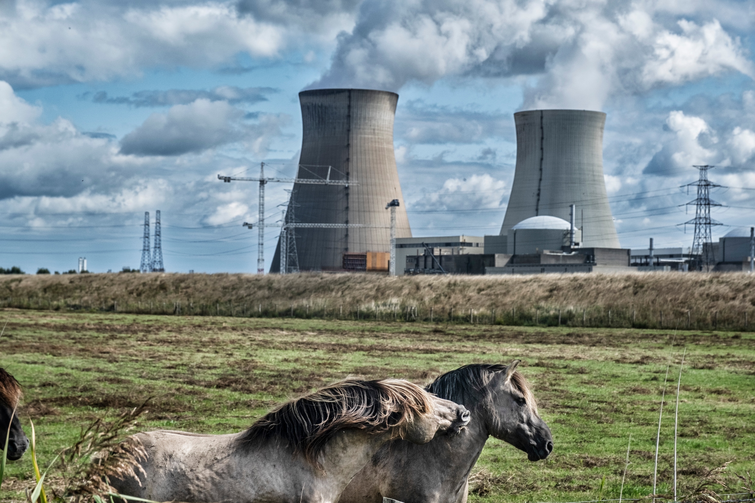 ‘Nog harde noten te kraken’: topman Engie verwacht geen akkoord over ...