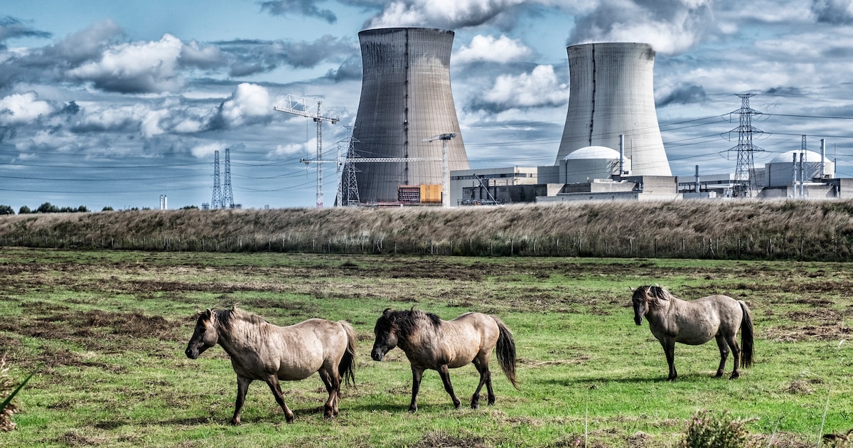 Na de sluiting van kerncentrale Doel 2: N-VA verhoogt druk op ...
