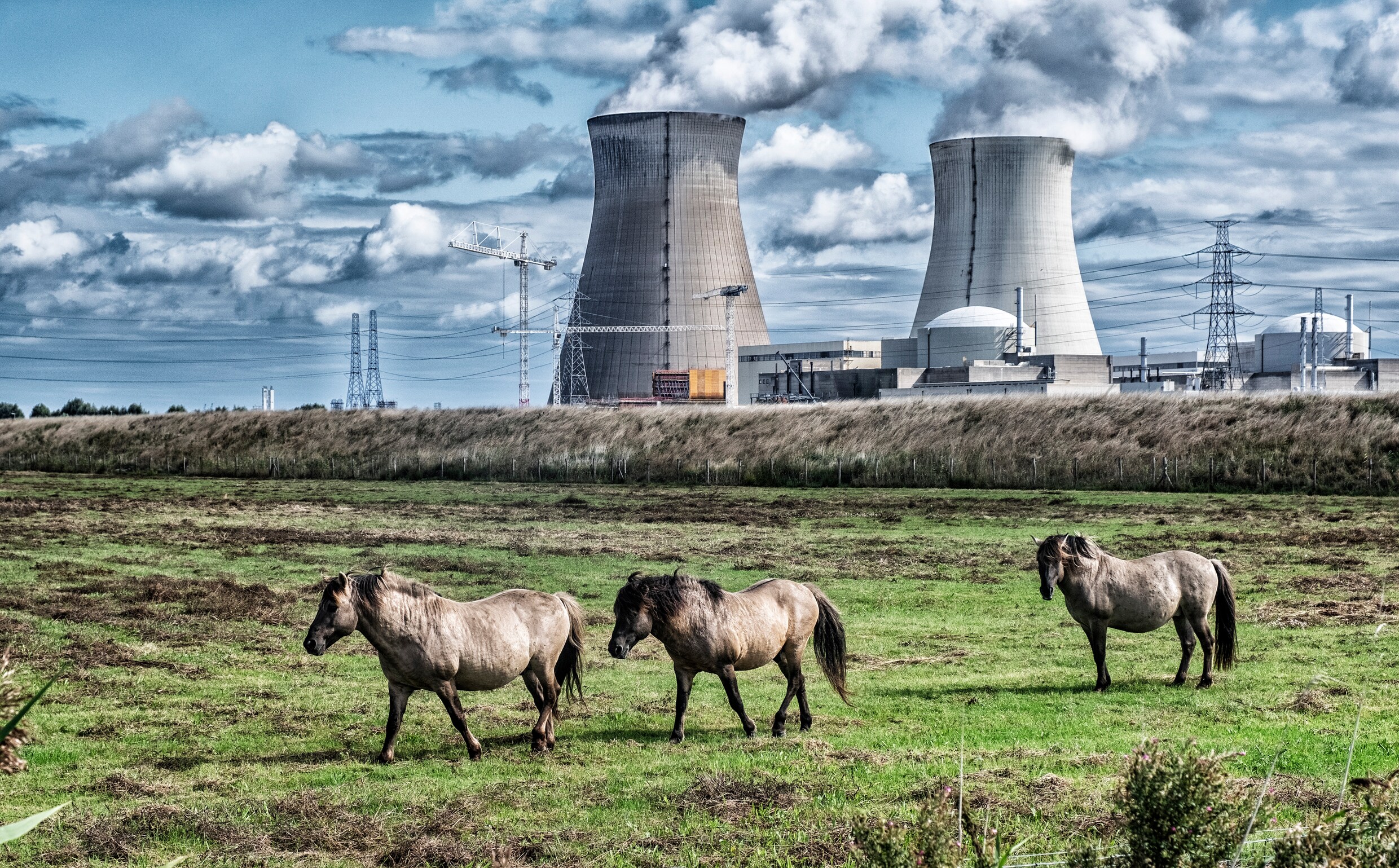 Na de sluiting van kerncentrale Doel 2: N-VA verhoogt druk op ...