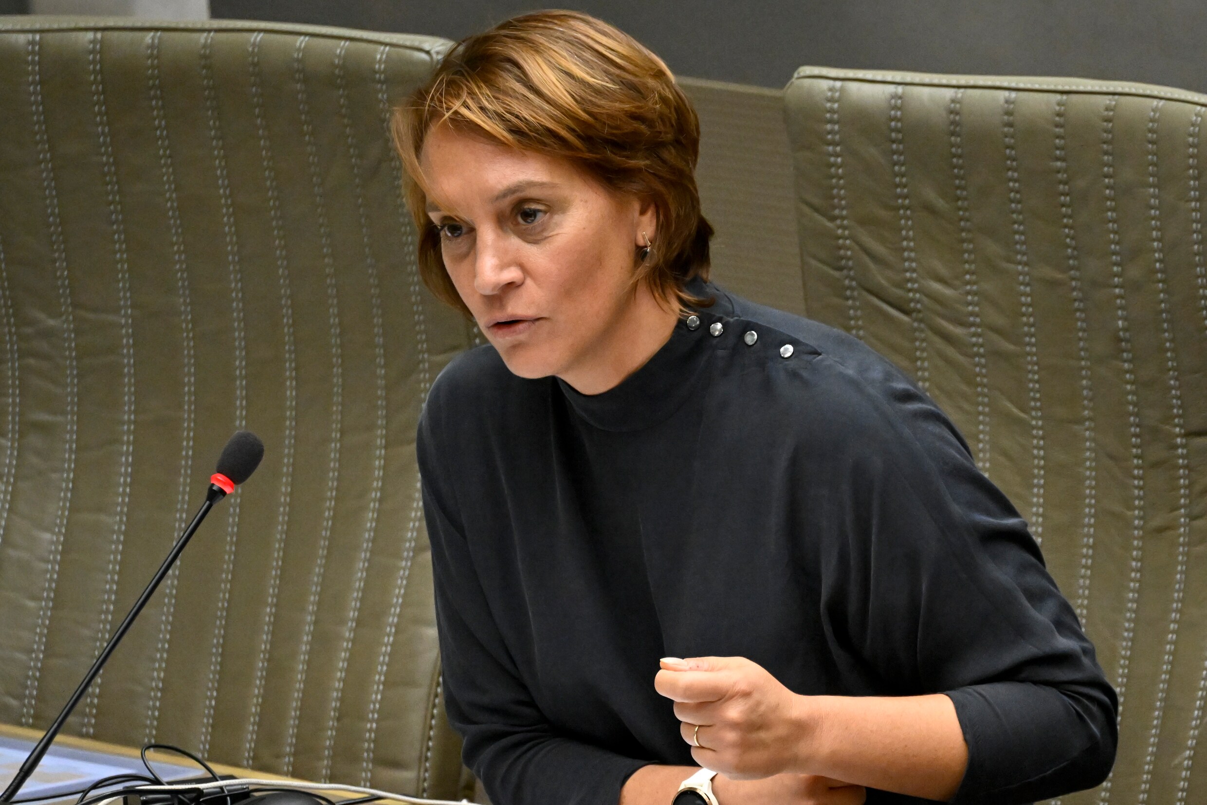 Elisabeth Meuleman (Groen) laat zich ompraten voor plaats op lijst in ...