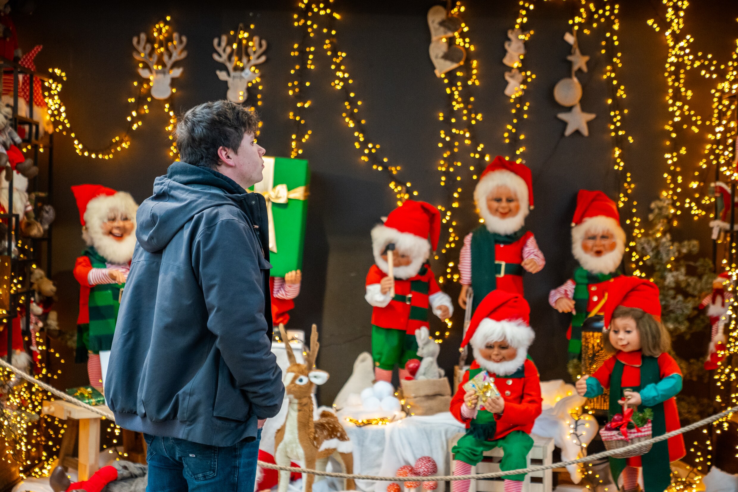 Lichtjes in kerstboom kosten nog geen 50 cent per maand: ‘Goedkoper dan ...