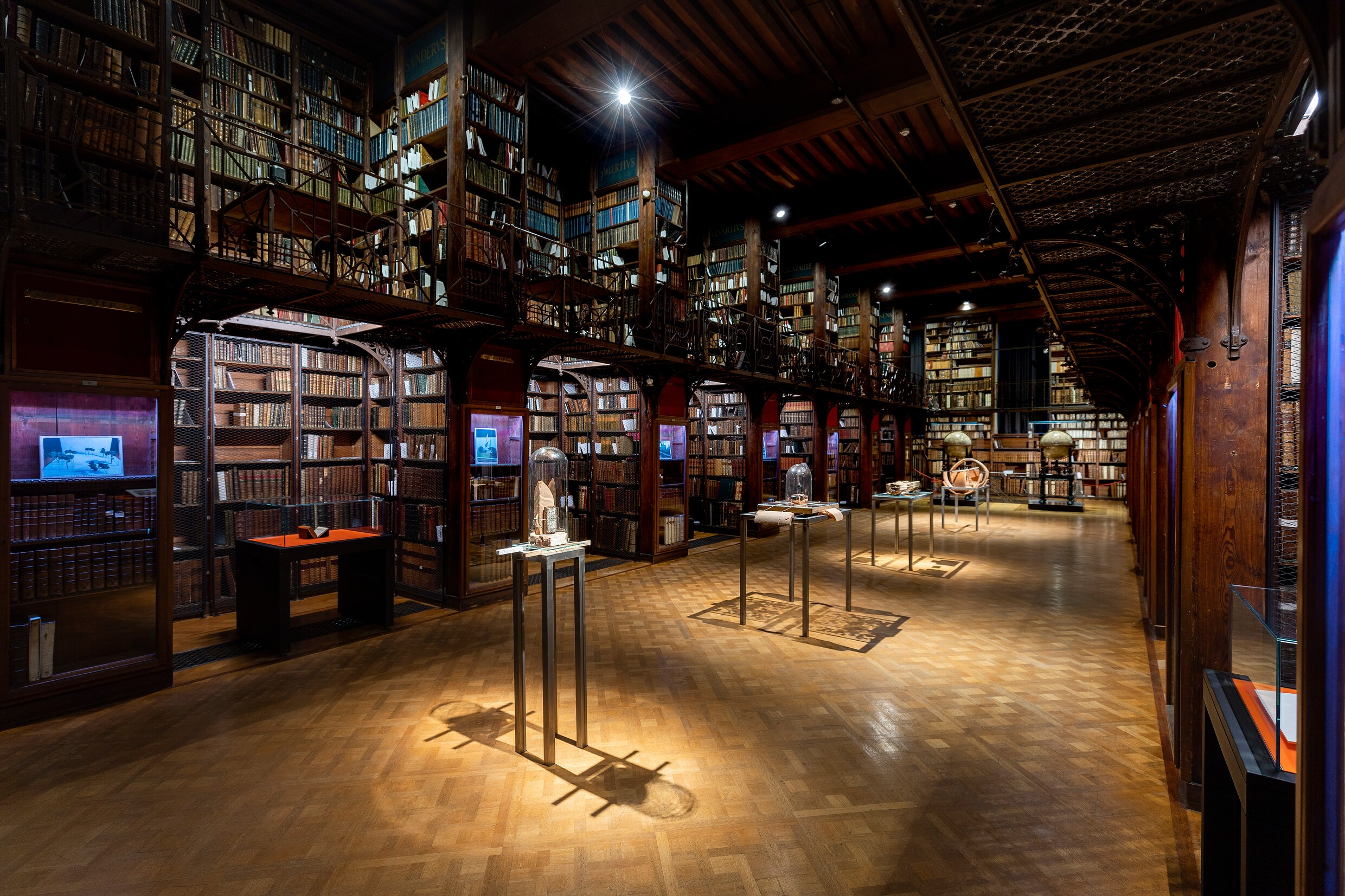 Als de apocalyps en de utopie hand in hand gaan: Antwerpse kunstwandeling Finis Terrae maakt de ...