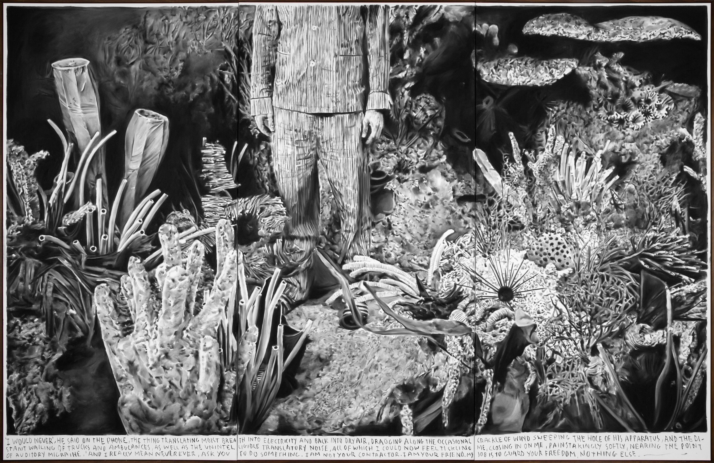 Rinus Van de Velde: zoveel avonturen te beleven tussen vier muren | De ...