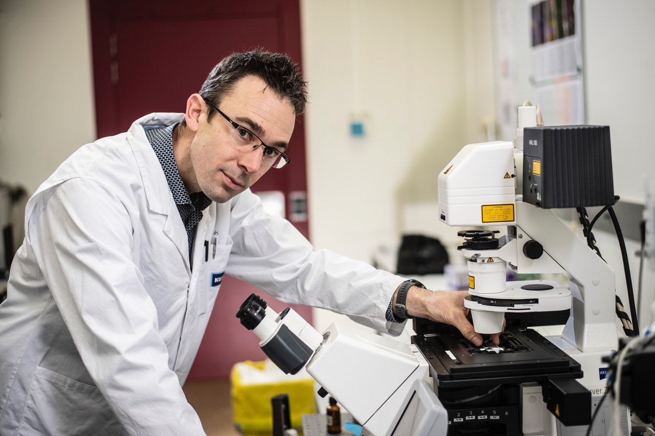 In VS krijgen twee producenten groen licht, wanneer in Europa ...