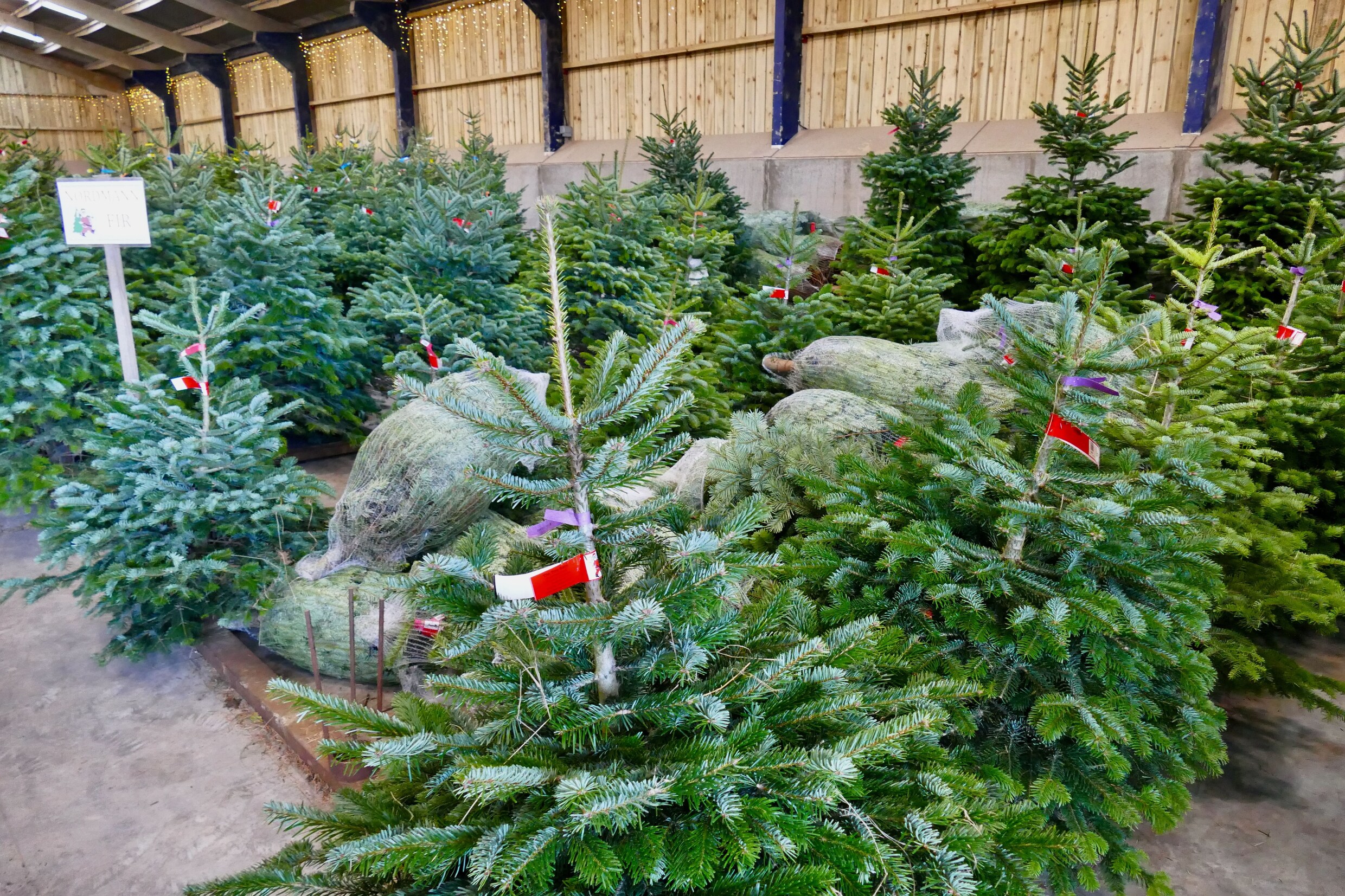 Geen lieflijke kerstsaga bij Ingvild H. Rishøi, wel veel alcohol en een ...