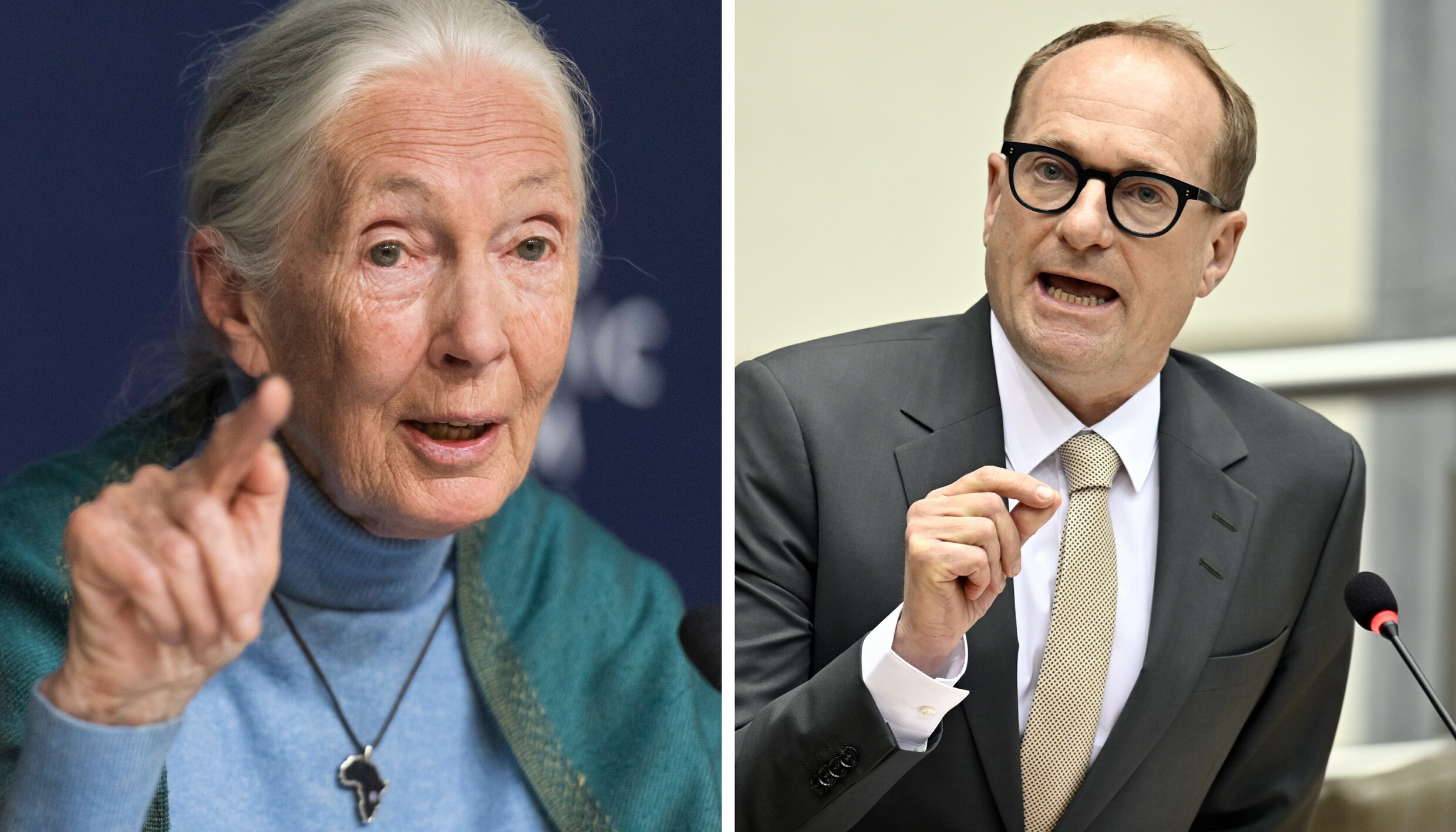 Antropoloog Jane Goodall richt zich tot Ben Weyts in filmpje van GAIA ...