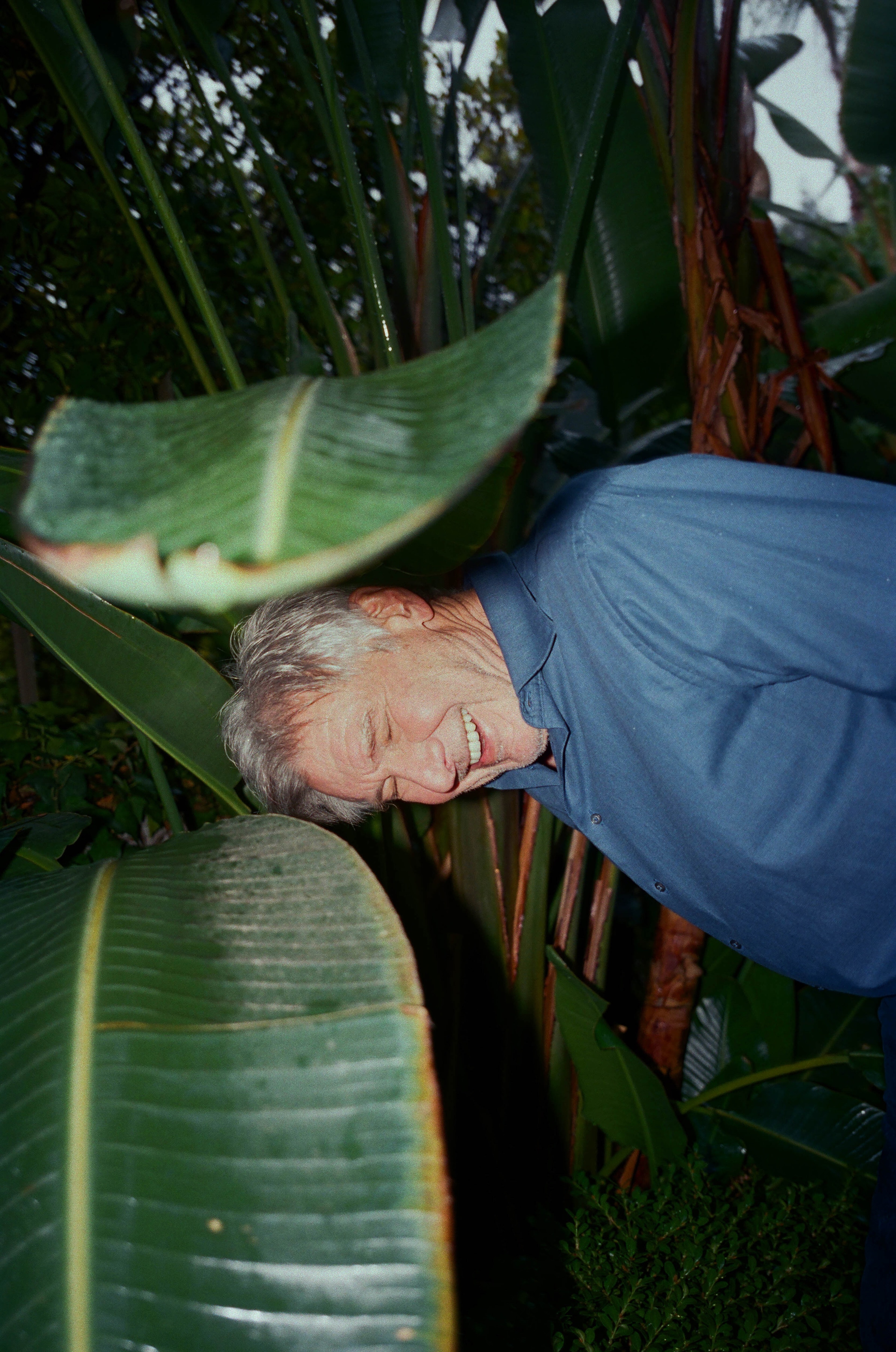 ‘Ik ben gek op het filmmaken, ik doe het al heel mijn leven’: Harrison ...