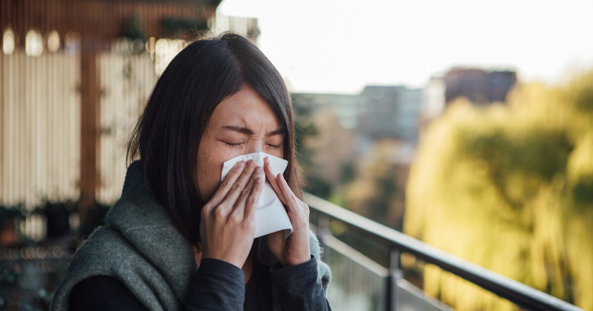 Slecht nieuws voor wie last heeft van hooikoorts: graspollenseizoen is ...