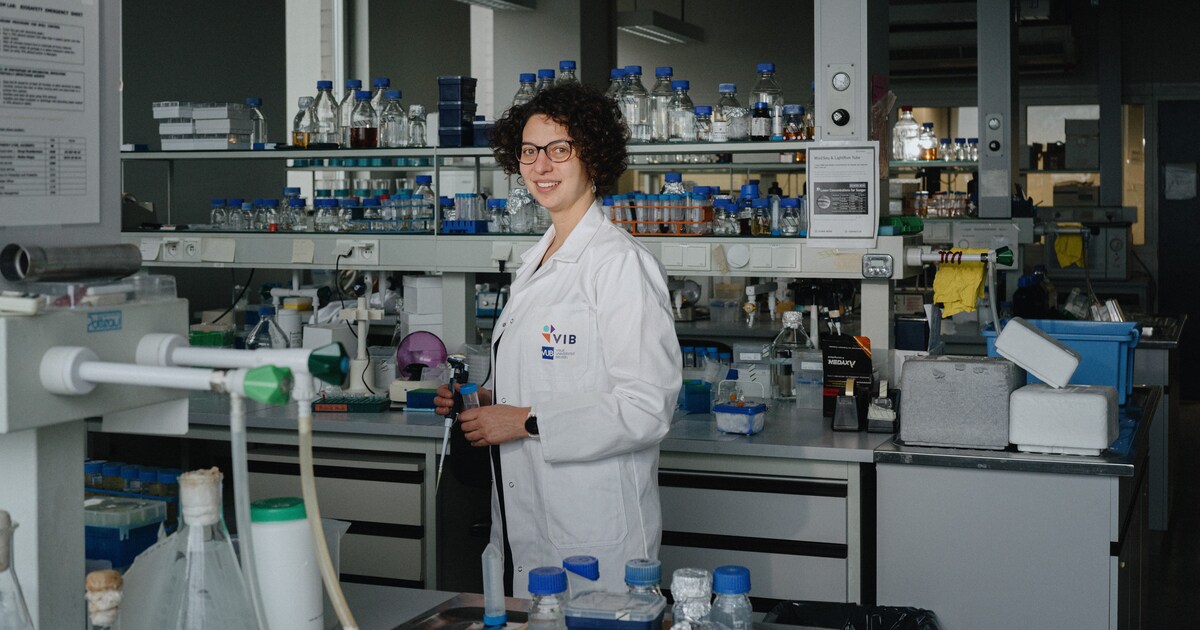 Professor Damya Laoui zoekt geld voor onderzoek naar vaccin tegen ...