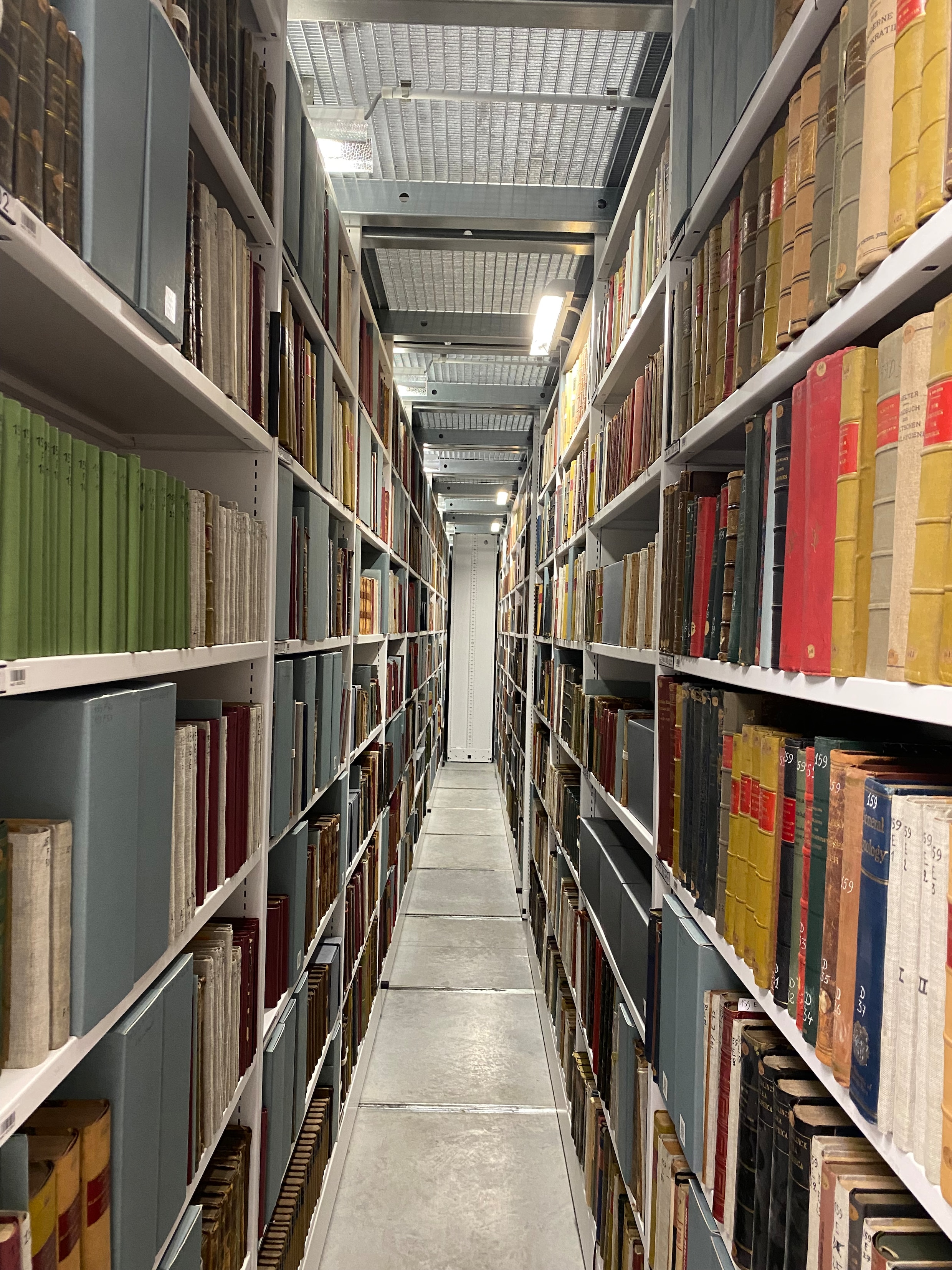 Van middeleeuwse heiligen tot koloniale brieven: in de kelder van de ...