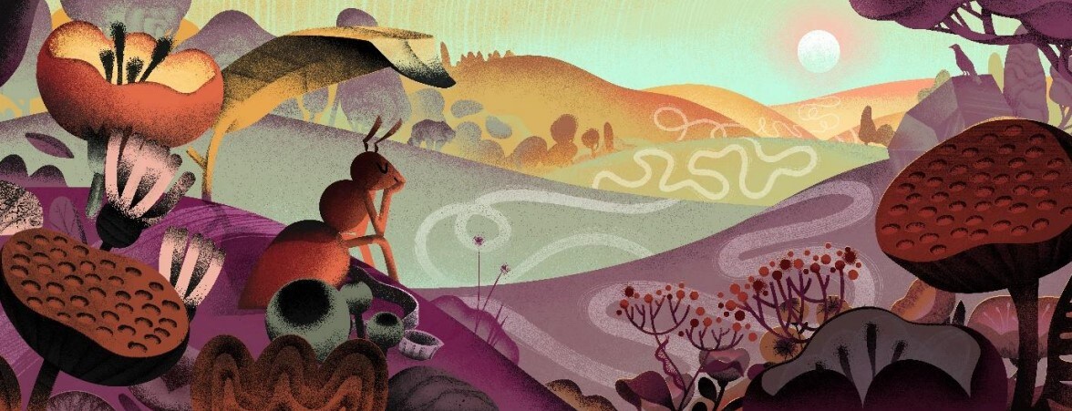 Zes onmisbare kinder- en jeugdboeken die doen dromen én denken | De Morgen