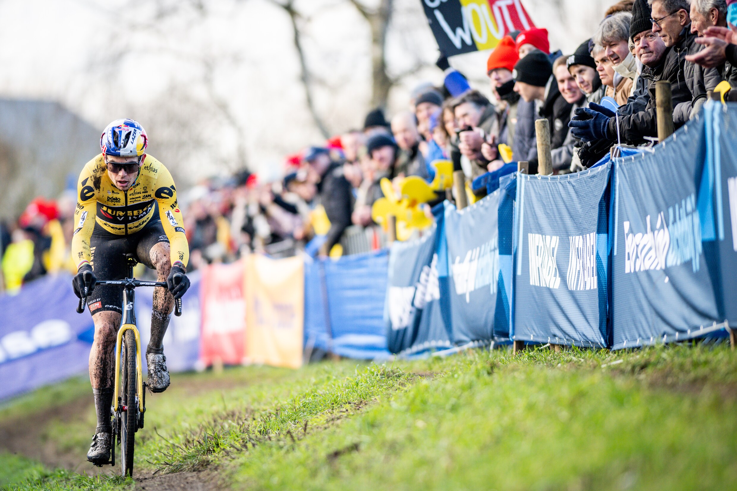 ‘Met pijn in het hart’ rijdt Van Aert niet meer dan tien crossen | De ...