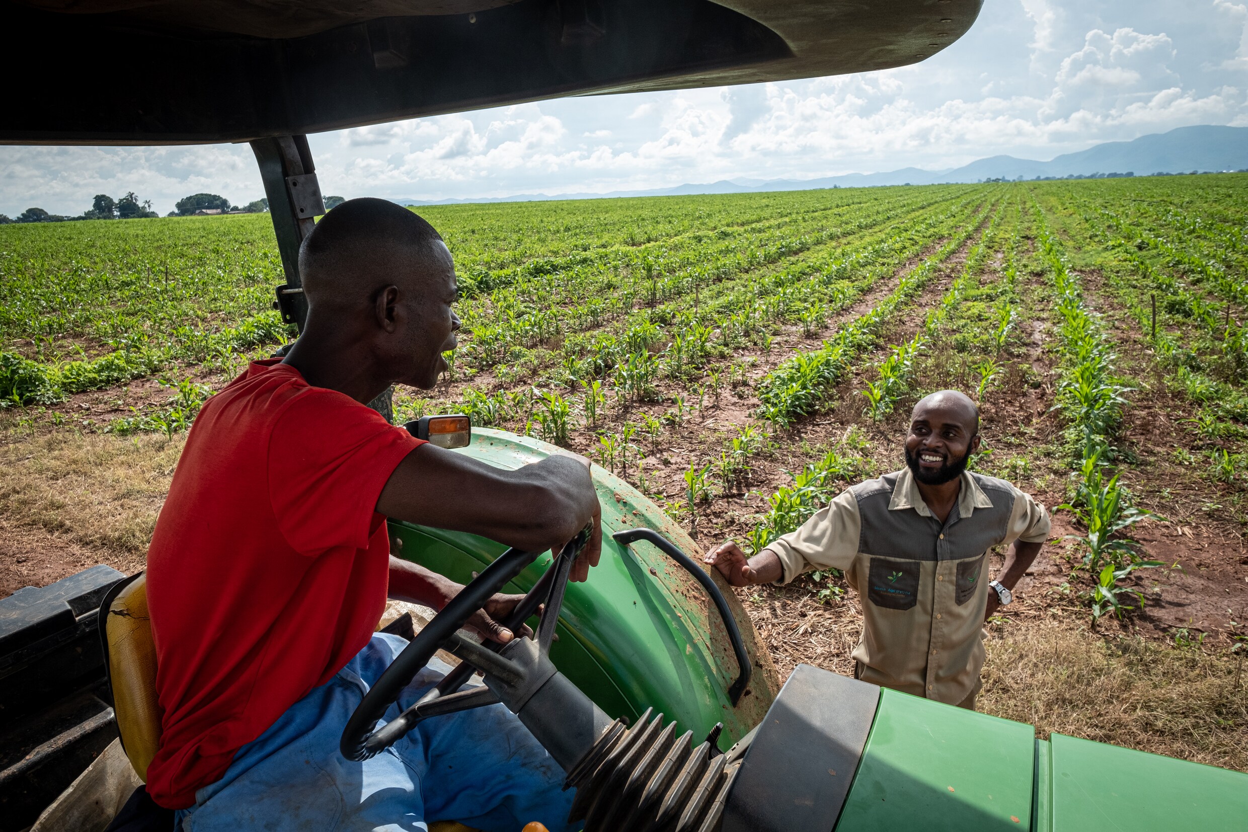 Recordoogst graan brengt Zimbabwe dichter bij de vurig gewenste ...