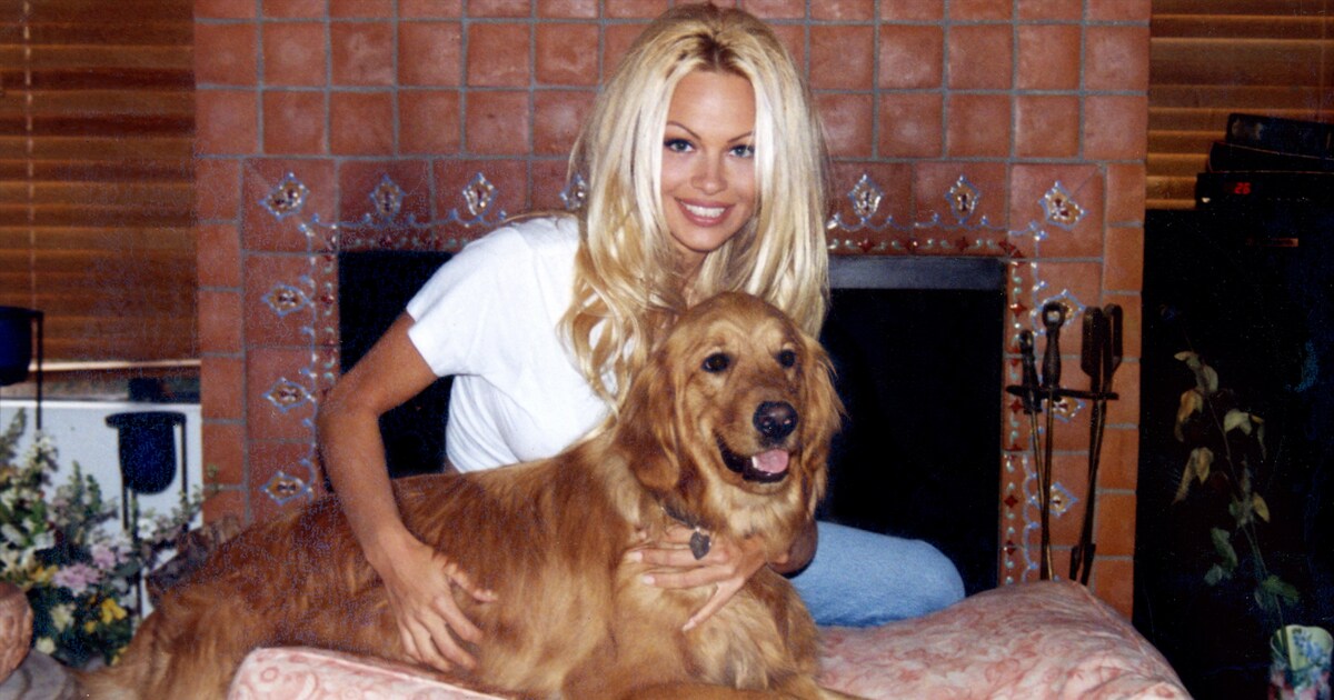 ‘Pamela, a Love Story’: aan het roer staan van je eigen documentaire is ...