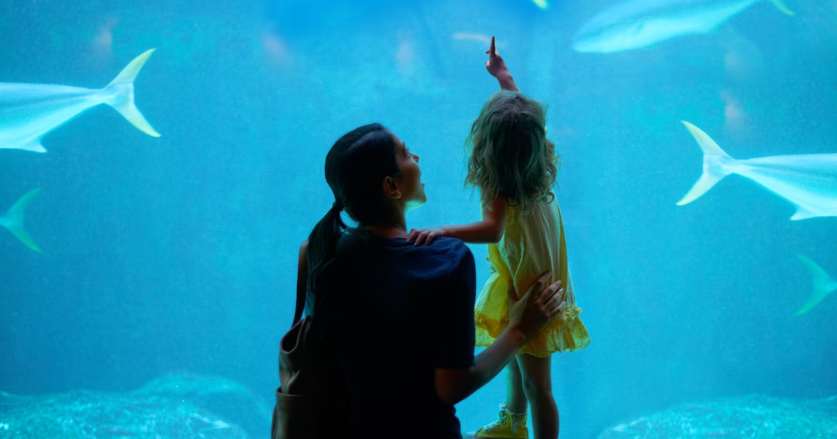 Een ‘ja-dag’ waarop de kinderen alles mogen bepalen: is dat een goed ...