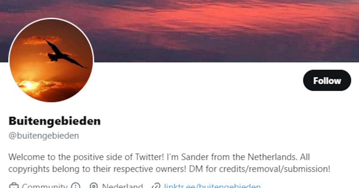 Tijdelijke schorsing ‘vrolijk’ Twitteraccount zorgt voor woede onder ...