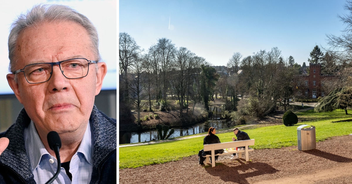 ‘Ga voor de 3/30/300-regel’: natuur heeft positieve impact op ...